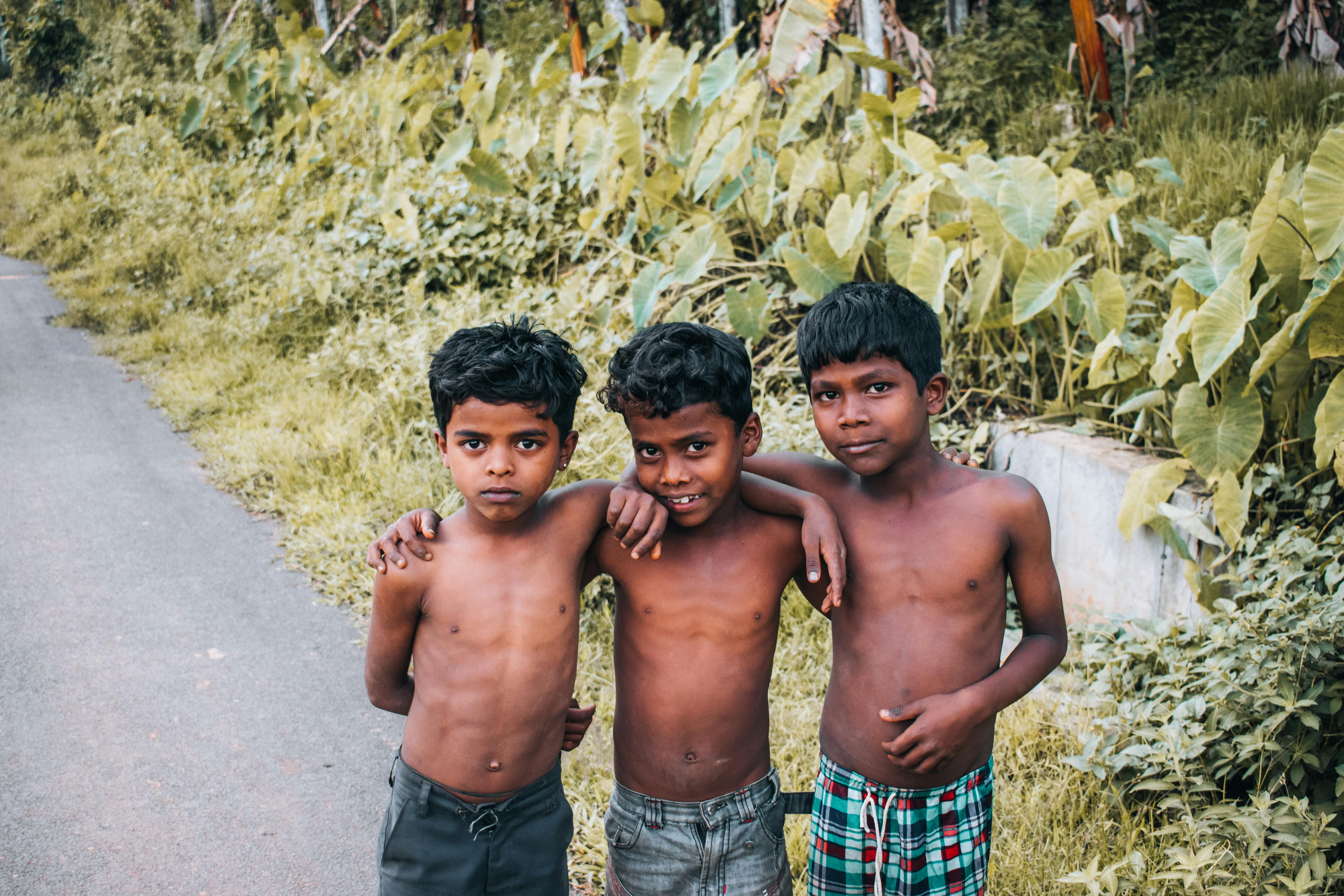 Wayanad Photos, Download The BEST Free Wayanad Stock Photos & HD Images