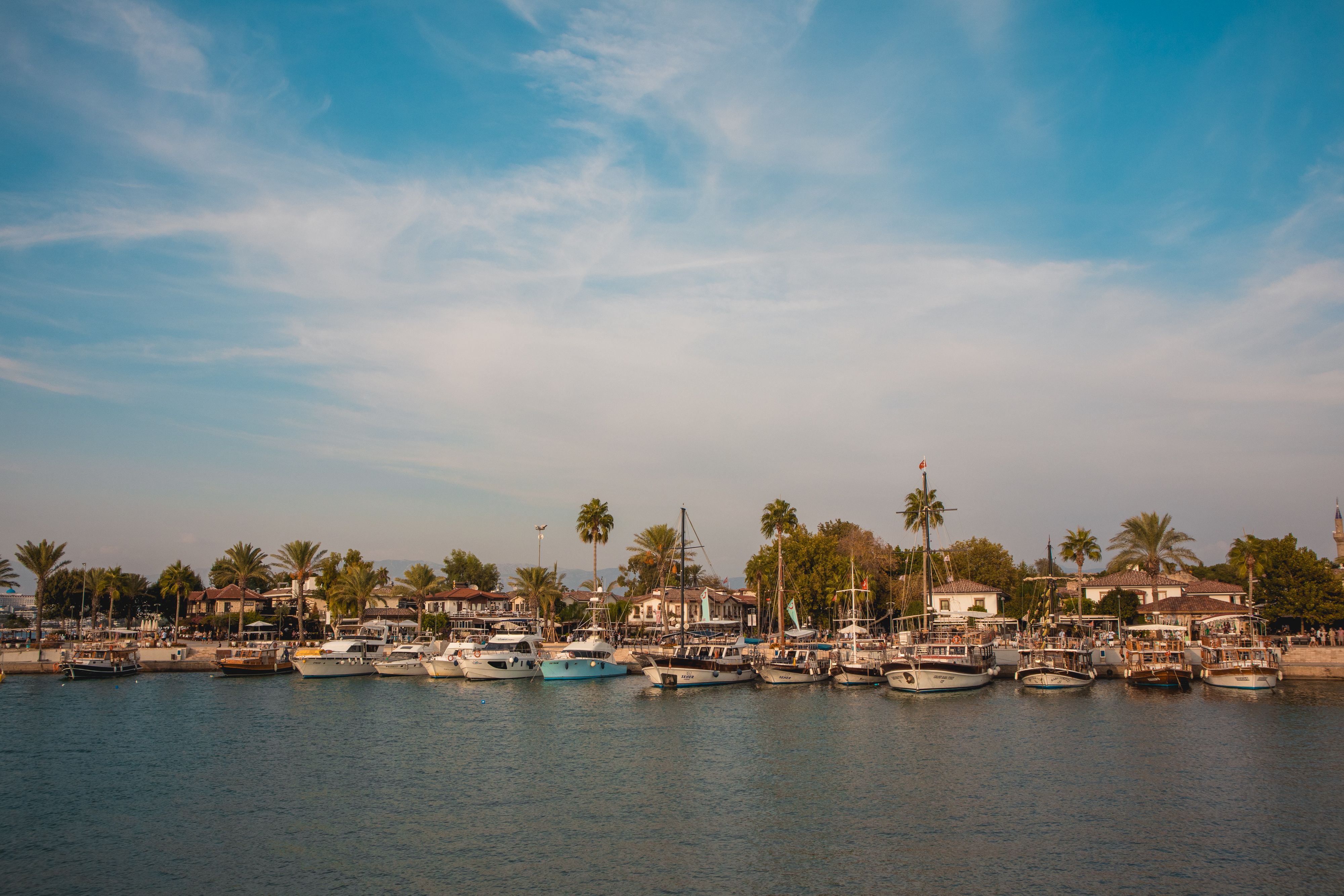 Yachts Moored in a Tropical Marina · Free Stock Photo