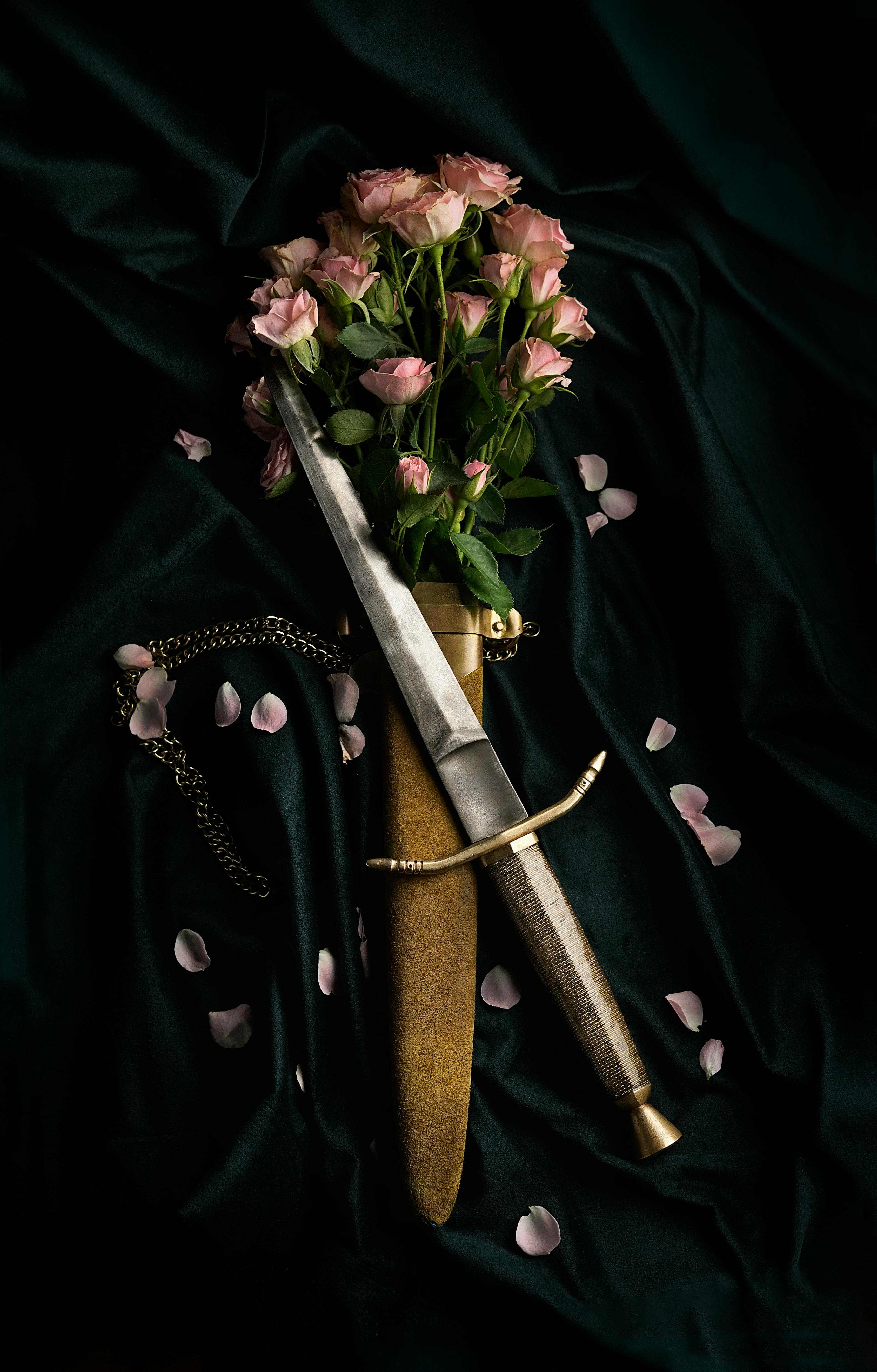 Pink Roses in Knife Sheath · Free Stock Photo