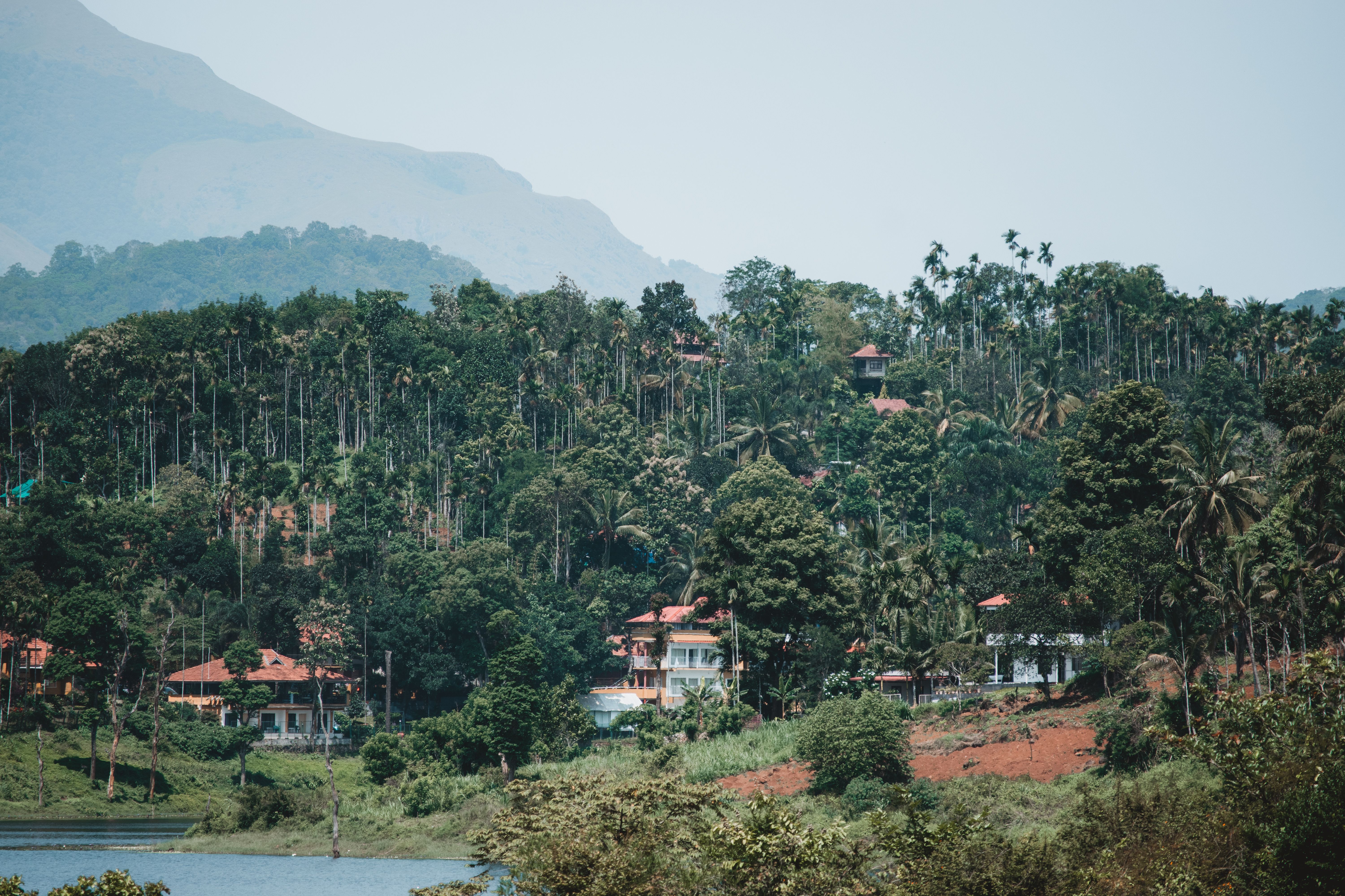 Scenic View of a Rural Landscape in Asia · Free Stock Photo