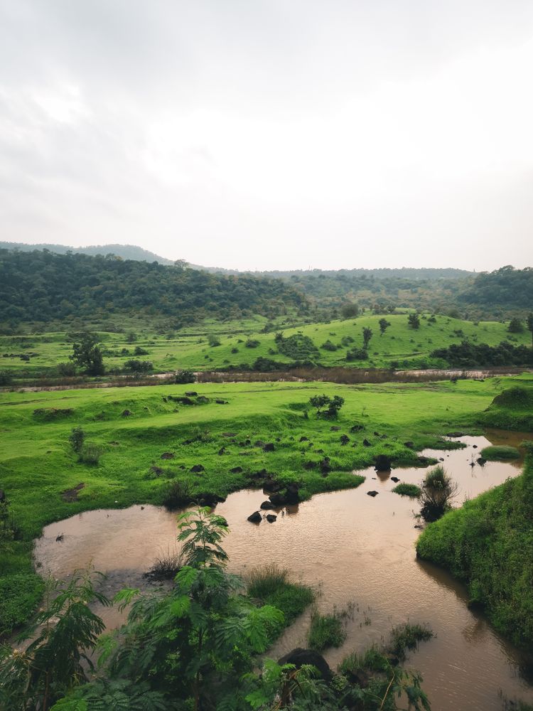 Beautiful Green Landscape Photos, Download The BEST Free Beautiful ...