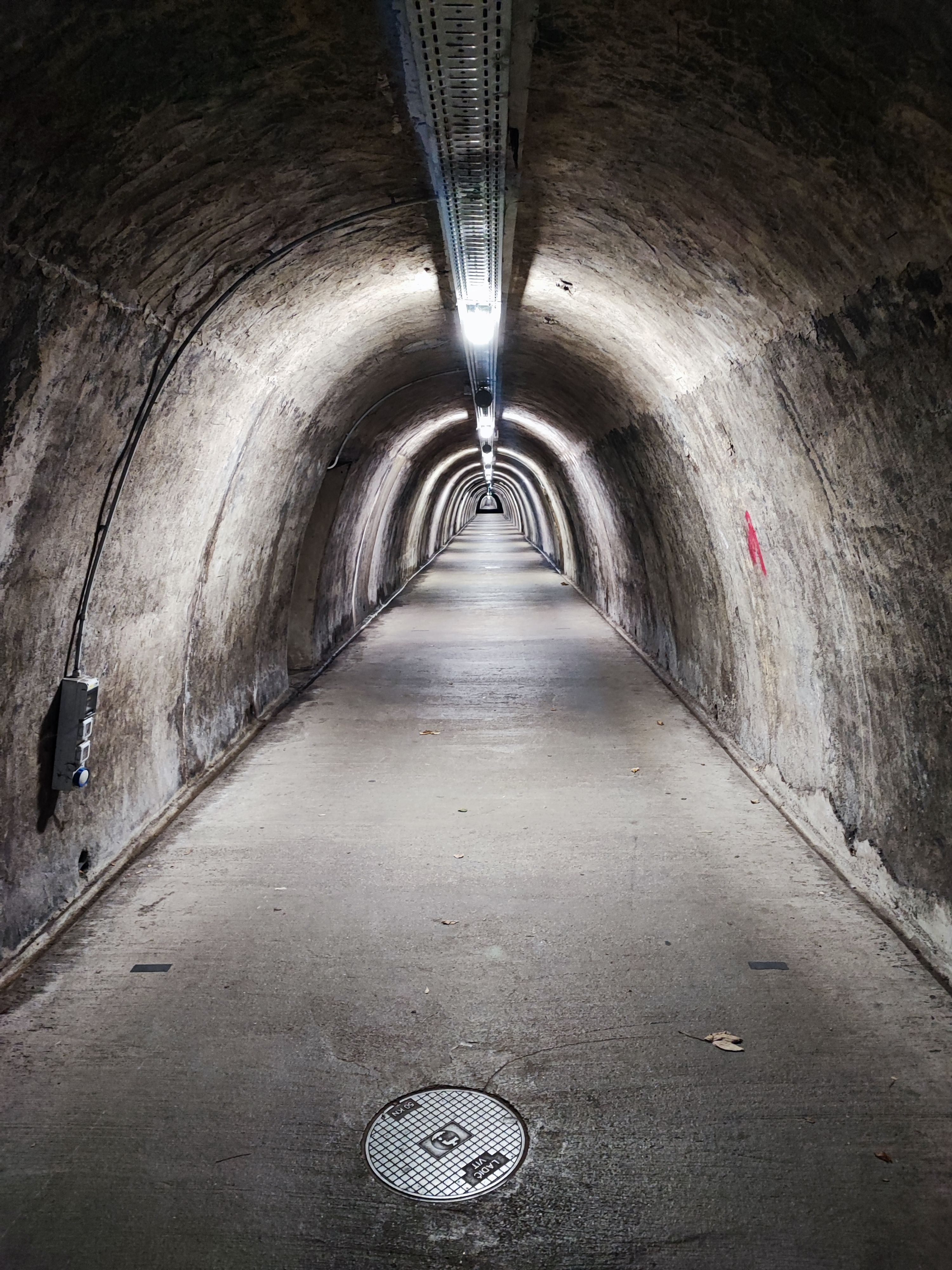 Symmetrical View of a Tunnel · Free Stock Photo