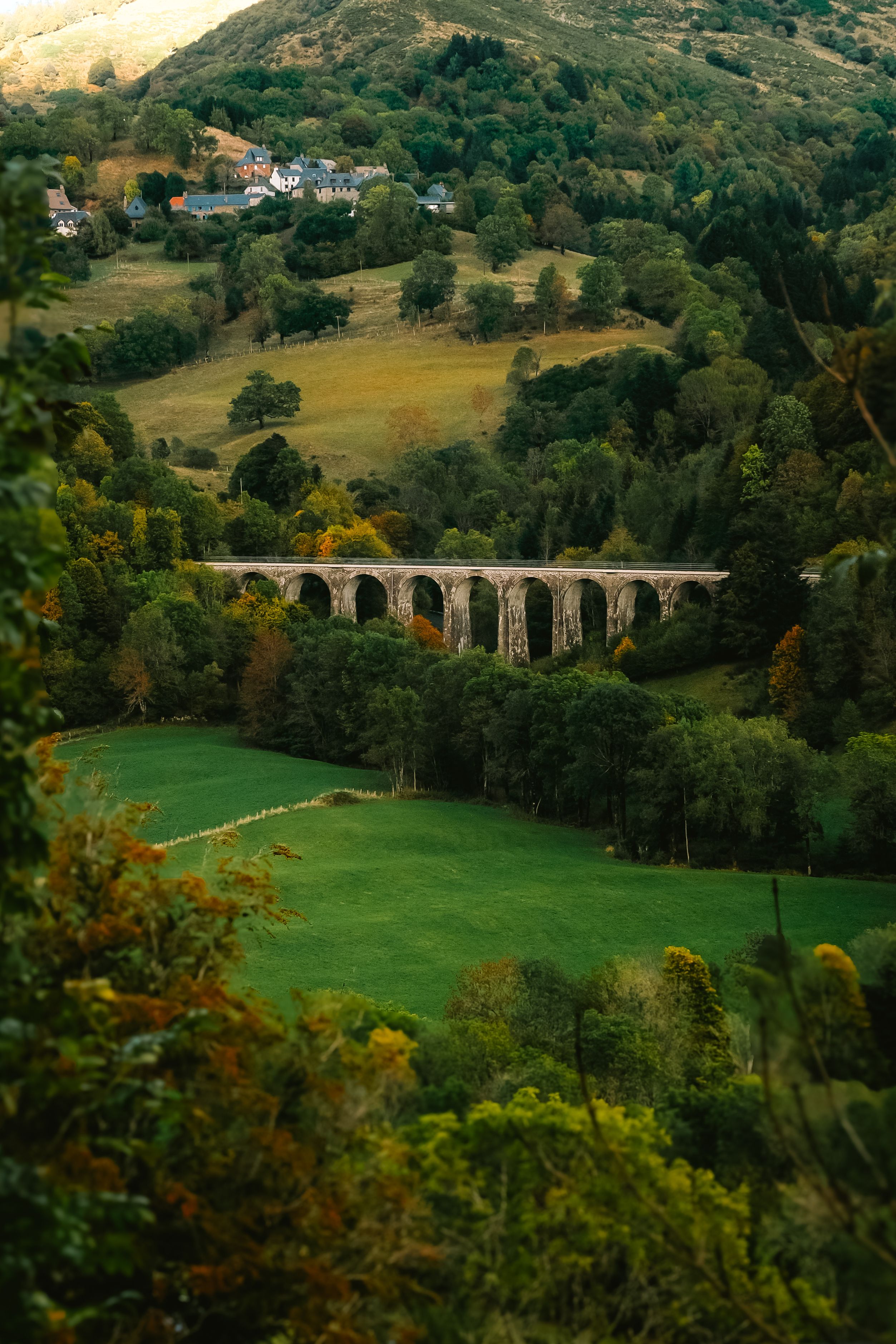 Viaduct among Trees in Countryside · Free Stock Photo