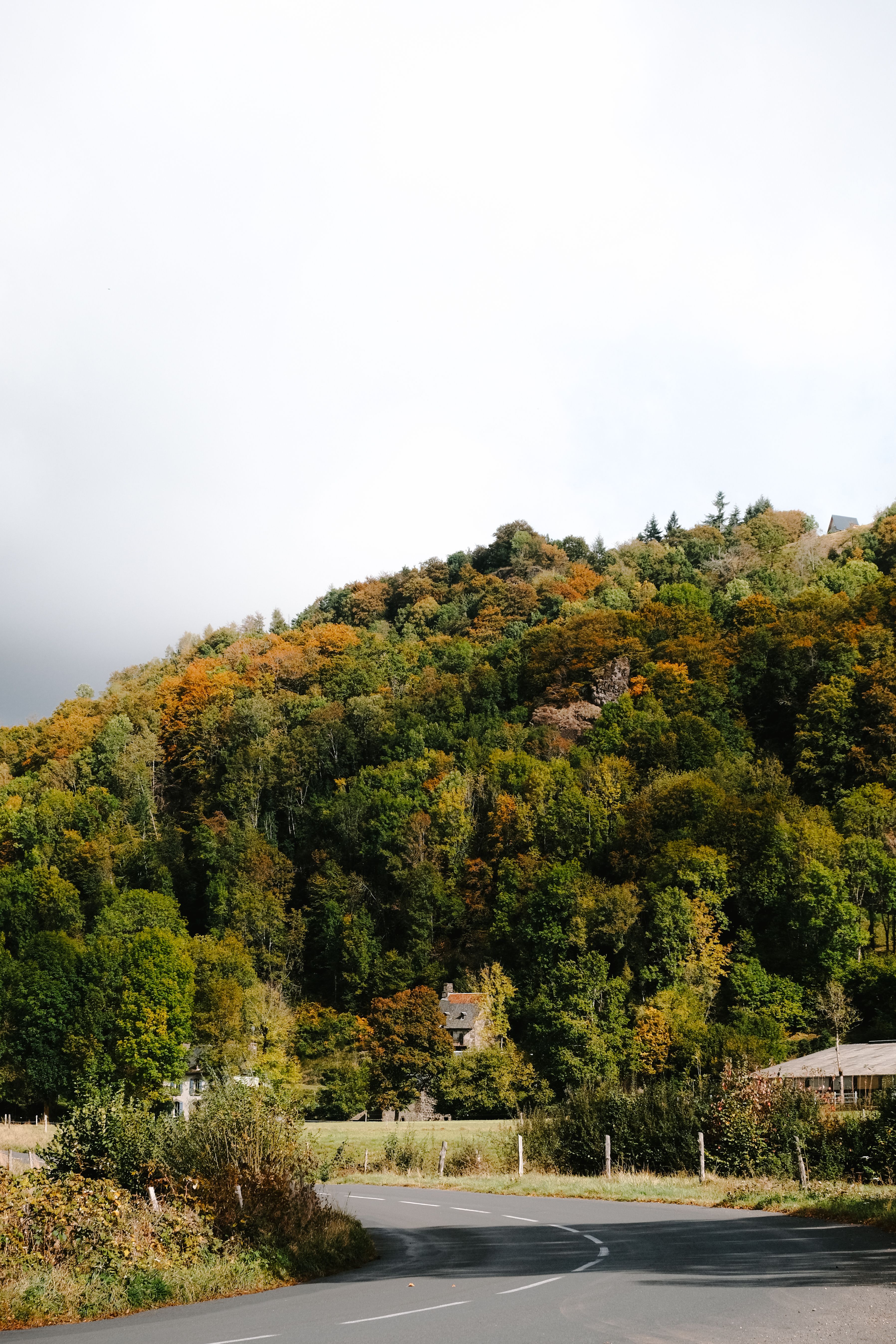 Forest on Hill over Road in Countryside · Free Stock Photo