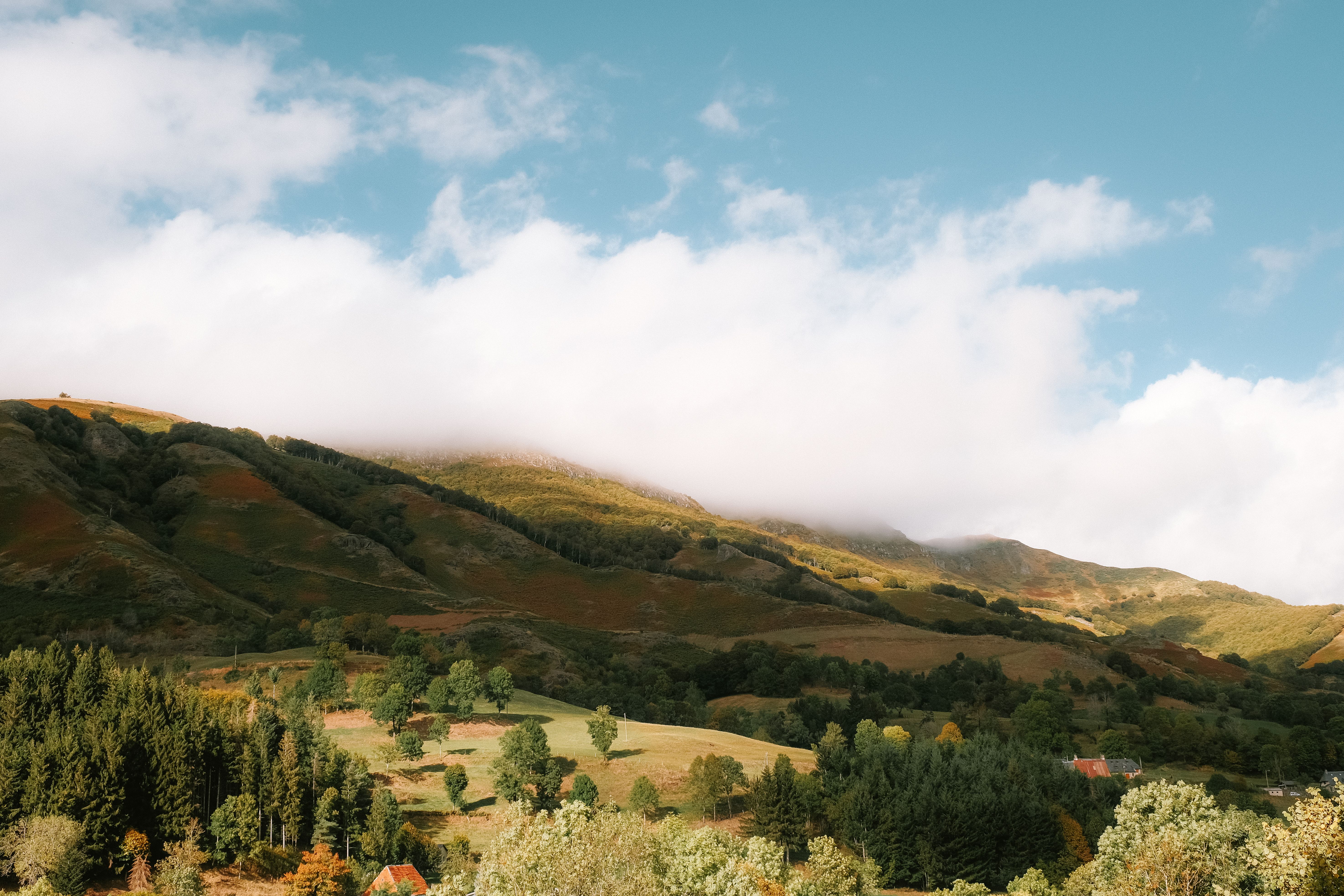 Trees on Hills in Countryside · Free Stock Photo