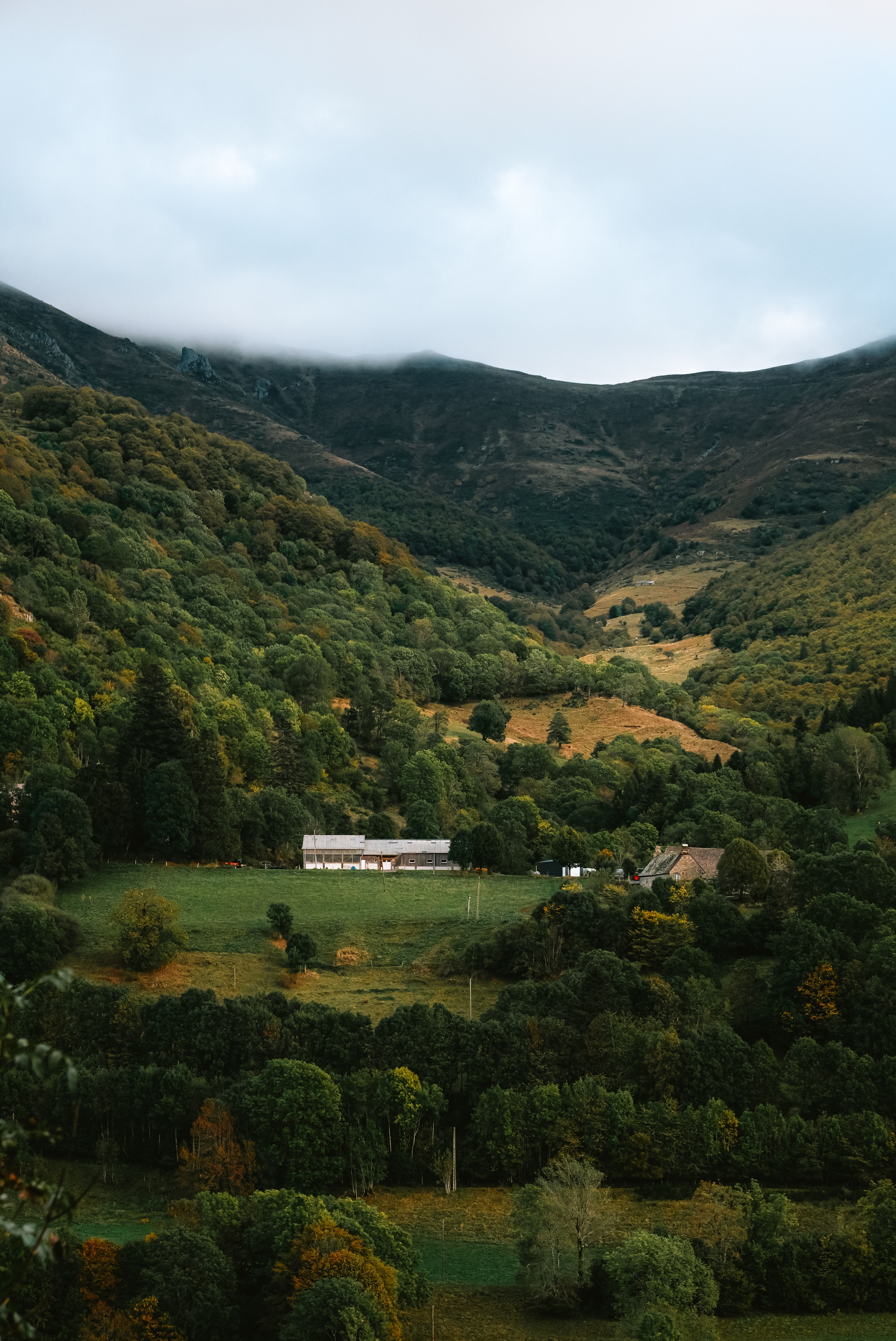 Trees around Farm in Valley in Countryside · Free Stock Photo
