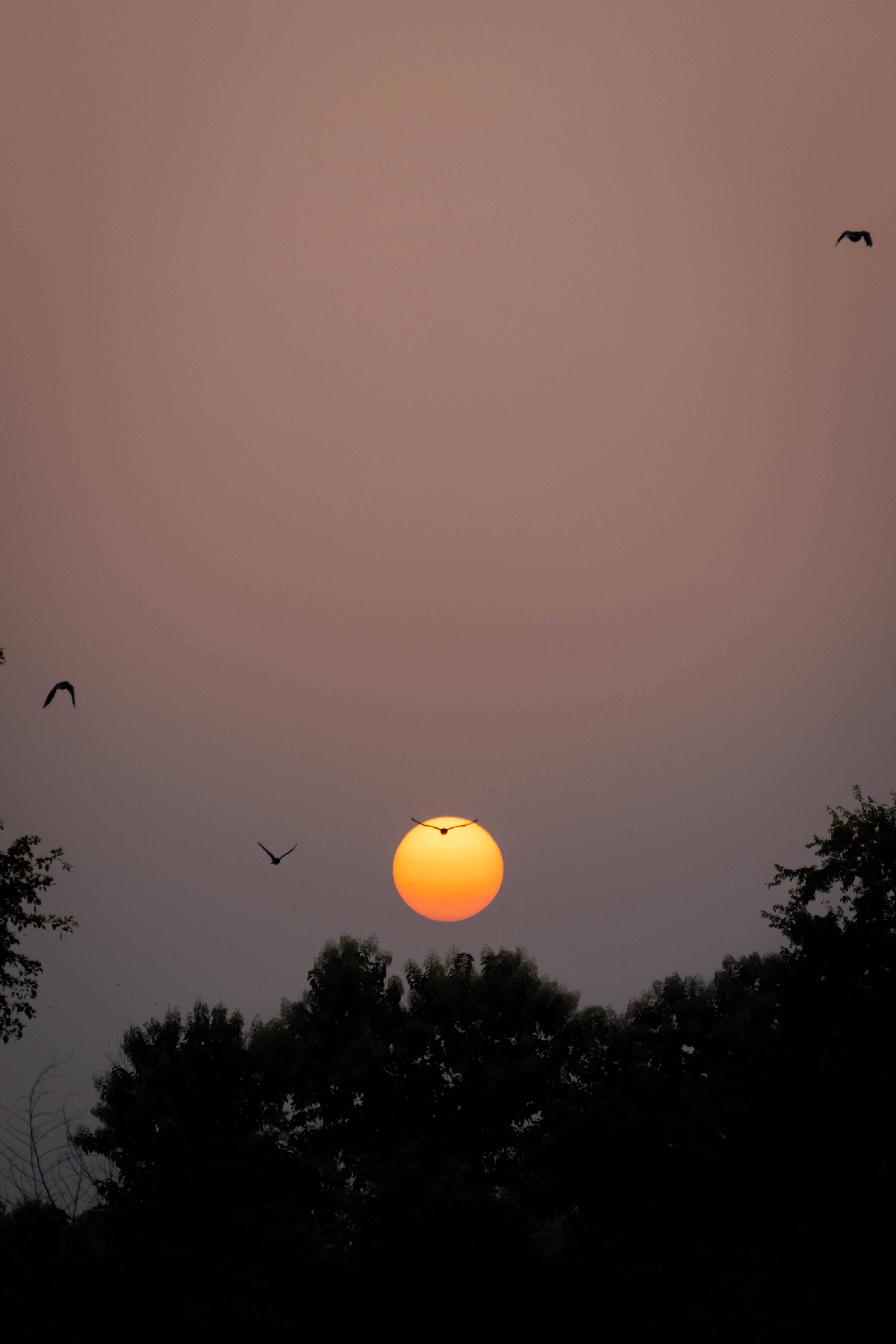 Ms Sun Photos, Download The BEST Free Ms Sun Stock Photos & HD Images