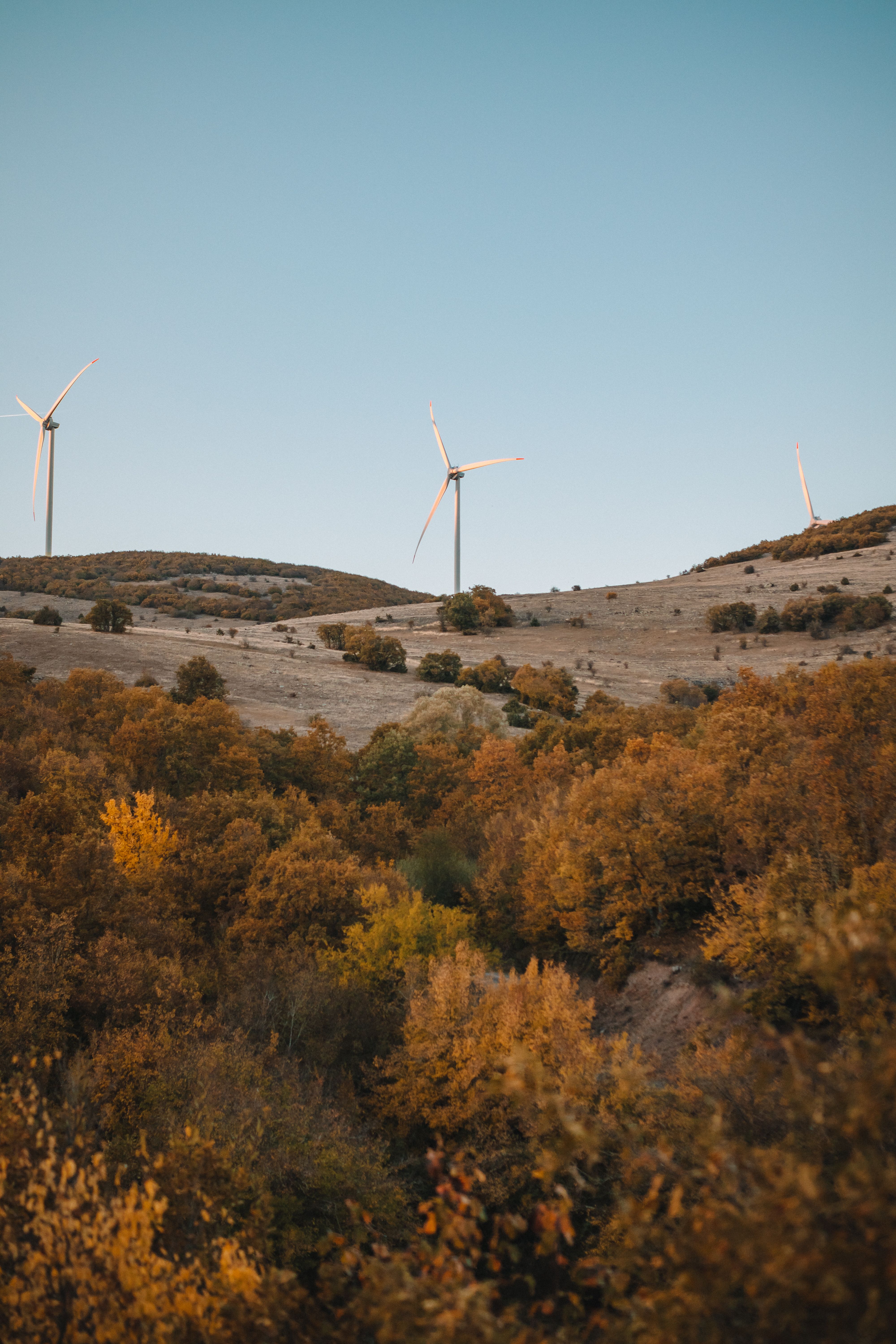 Autumn Landscape with Wind Turbines · Free Stock Photo