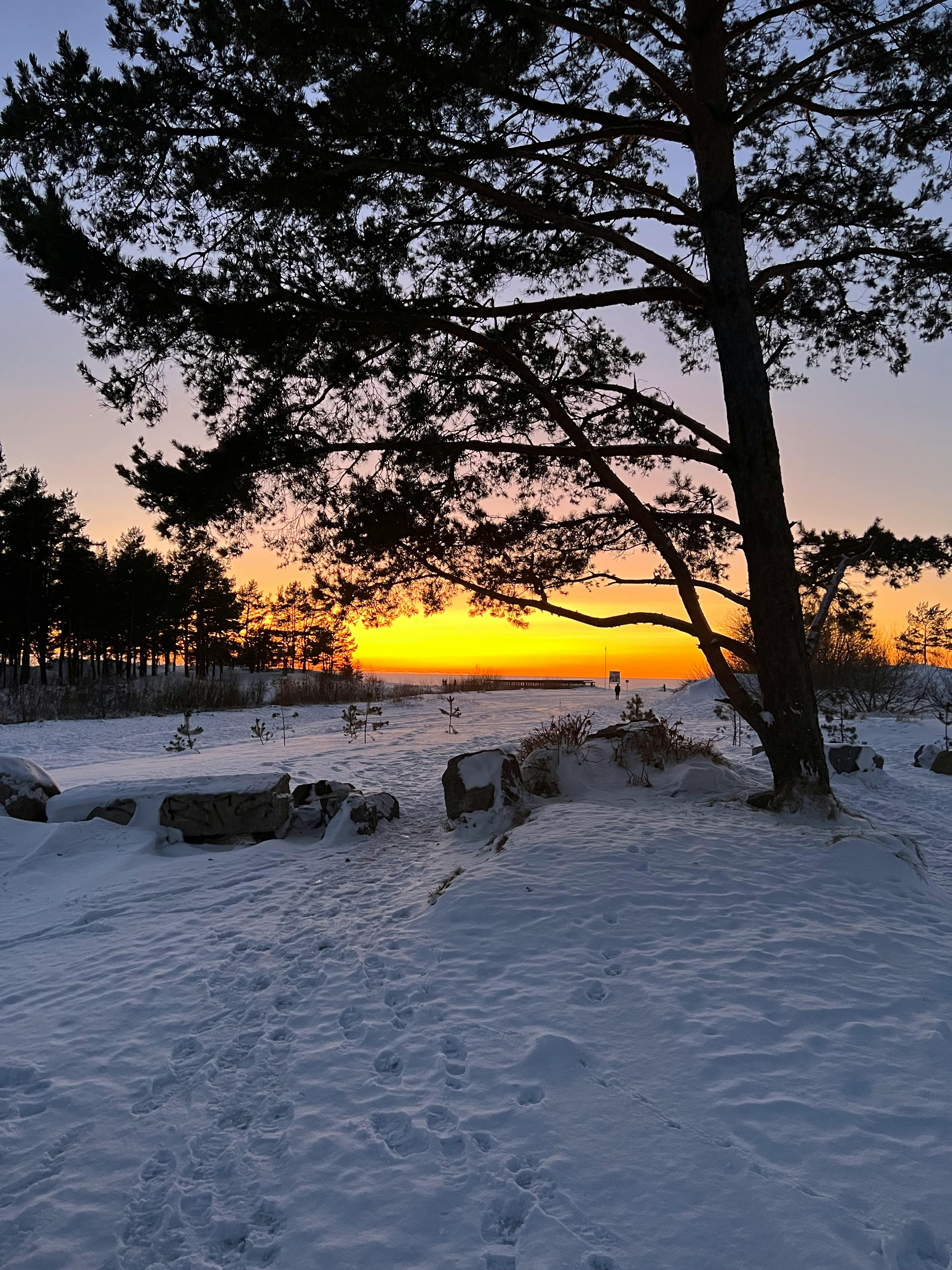 40,000+张最精彩的“Tegning Af Havet Strand Sceneri Trin Ved Srep”图片 · 100%免费 ...