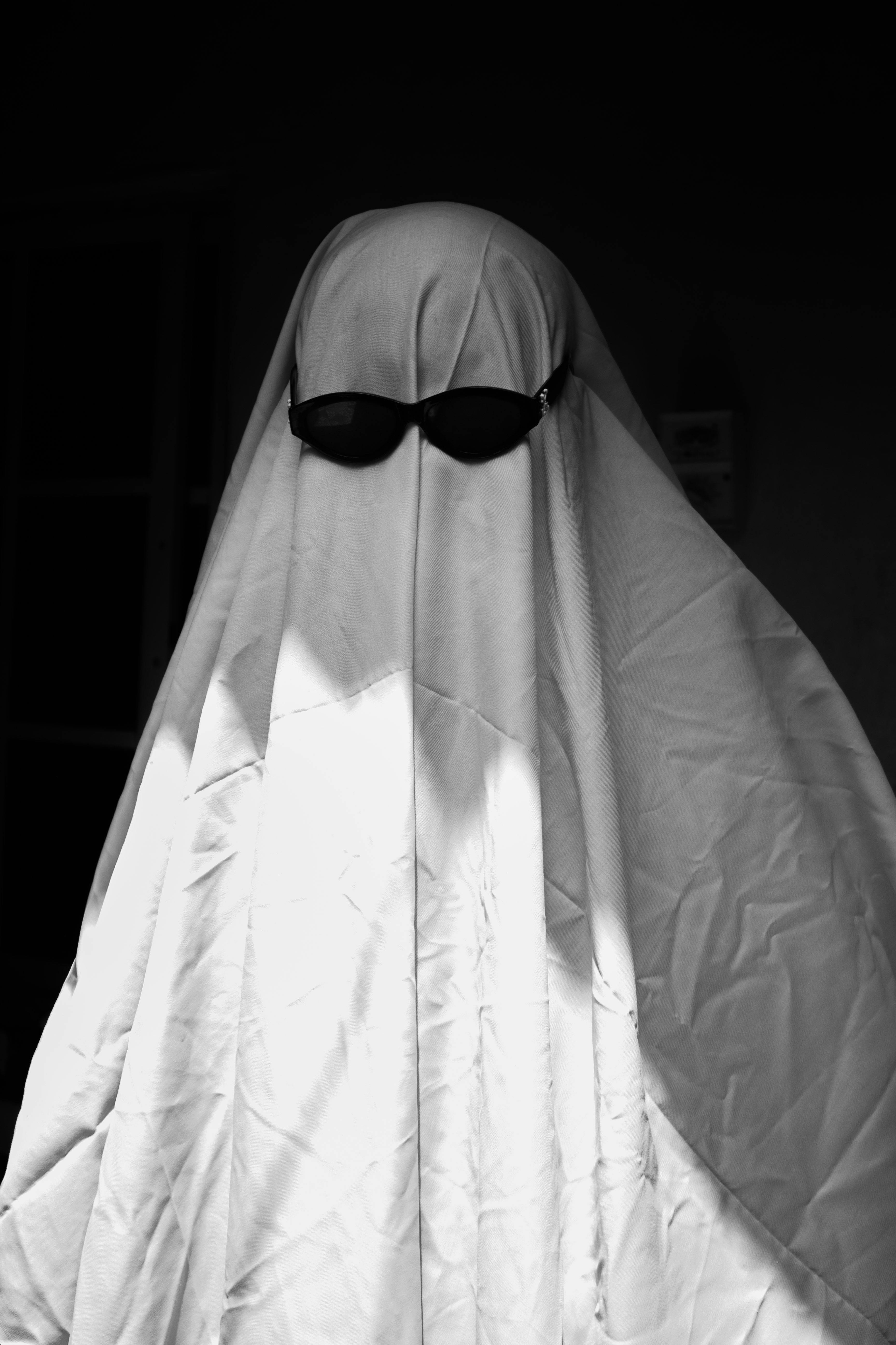 Man Wearing Sheet and Sunglasses · Free Stock Photo