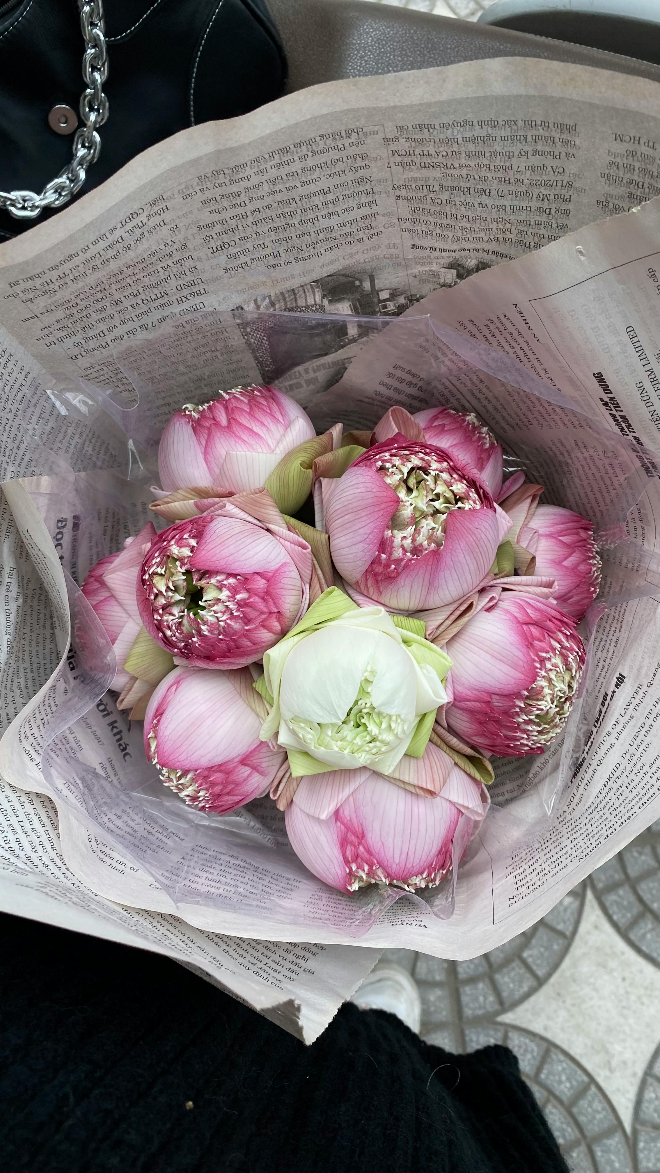 Woman Having Pink Flowers on Her Back · Free Stock Photo