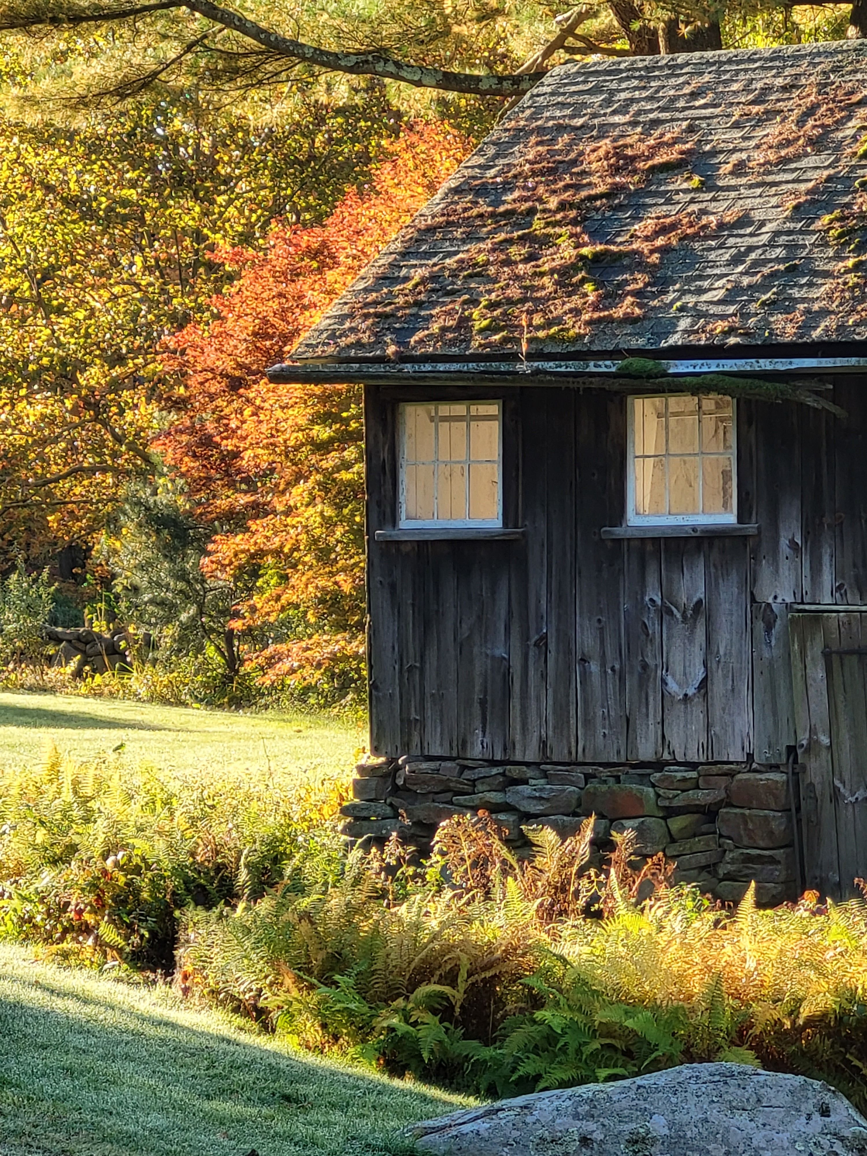 View of a Rustic Wooden House among Autumnal Trees · Free Stock Photo