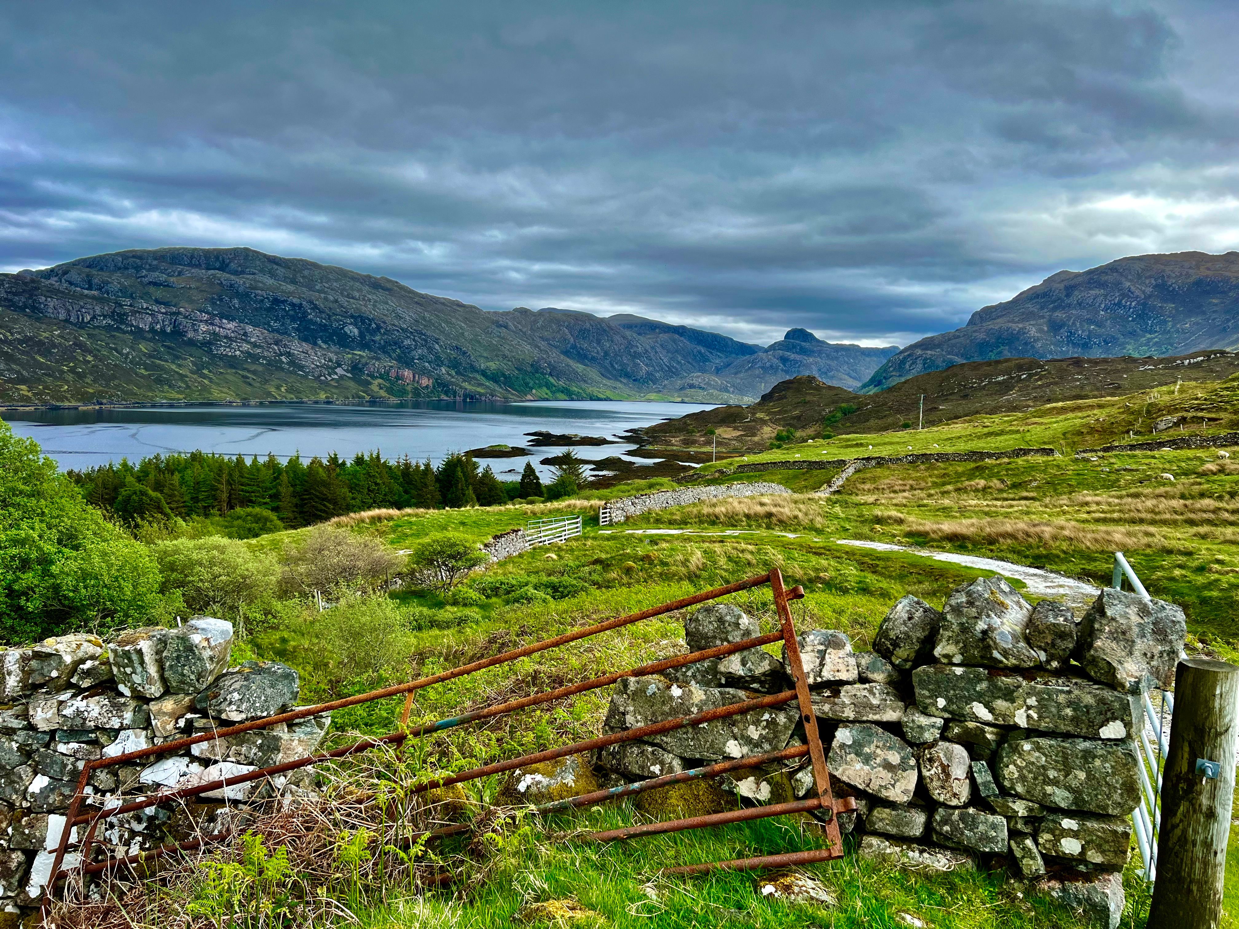 Lake in Countryside · Free Stock Photo