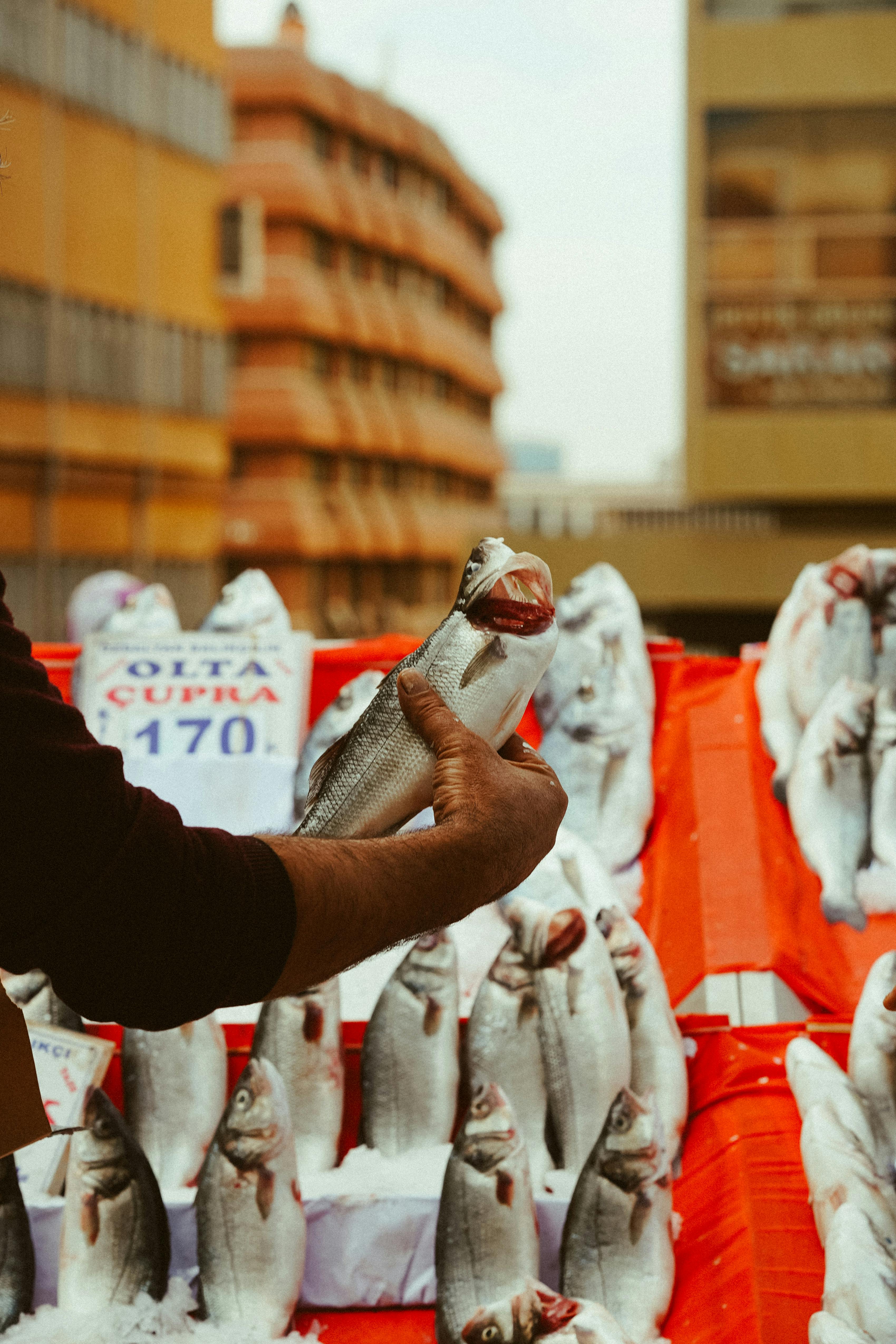 Person Waling on Market in Meat and Fish Section · Free Stock Photo