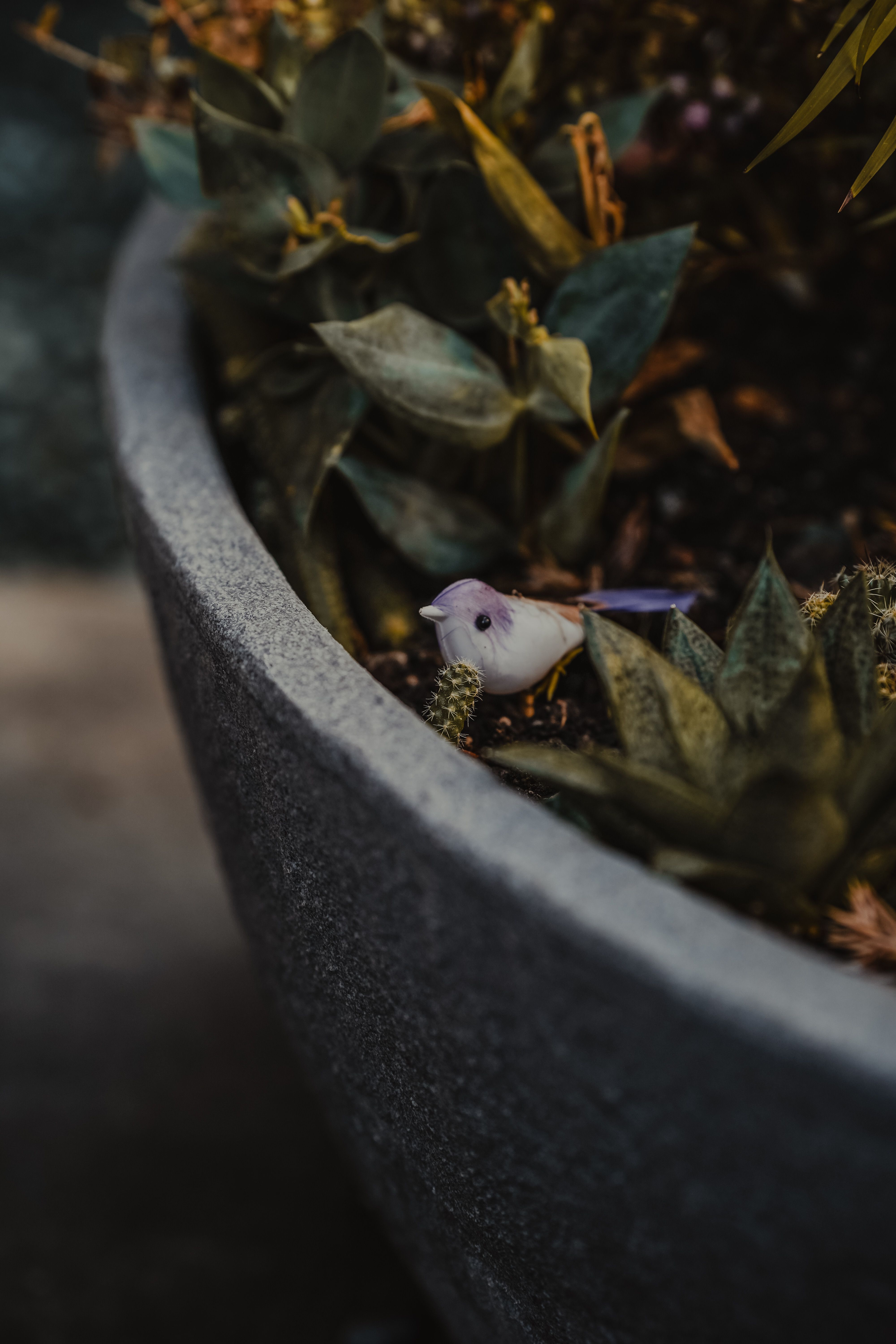 Small Decoration of a Bird in a Pot with a Plant · Free Stock Photo