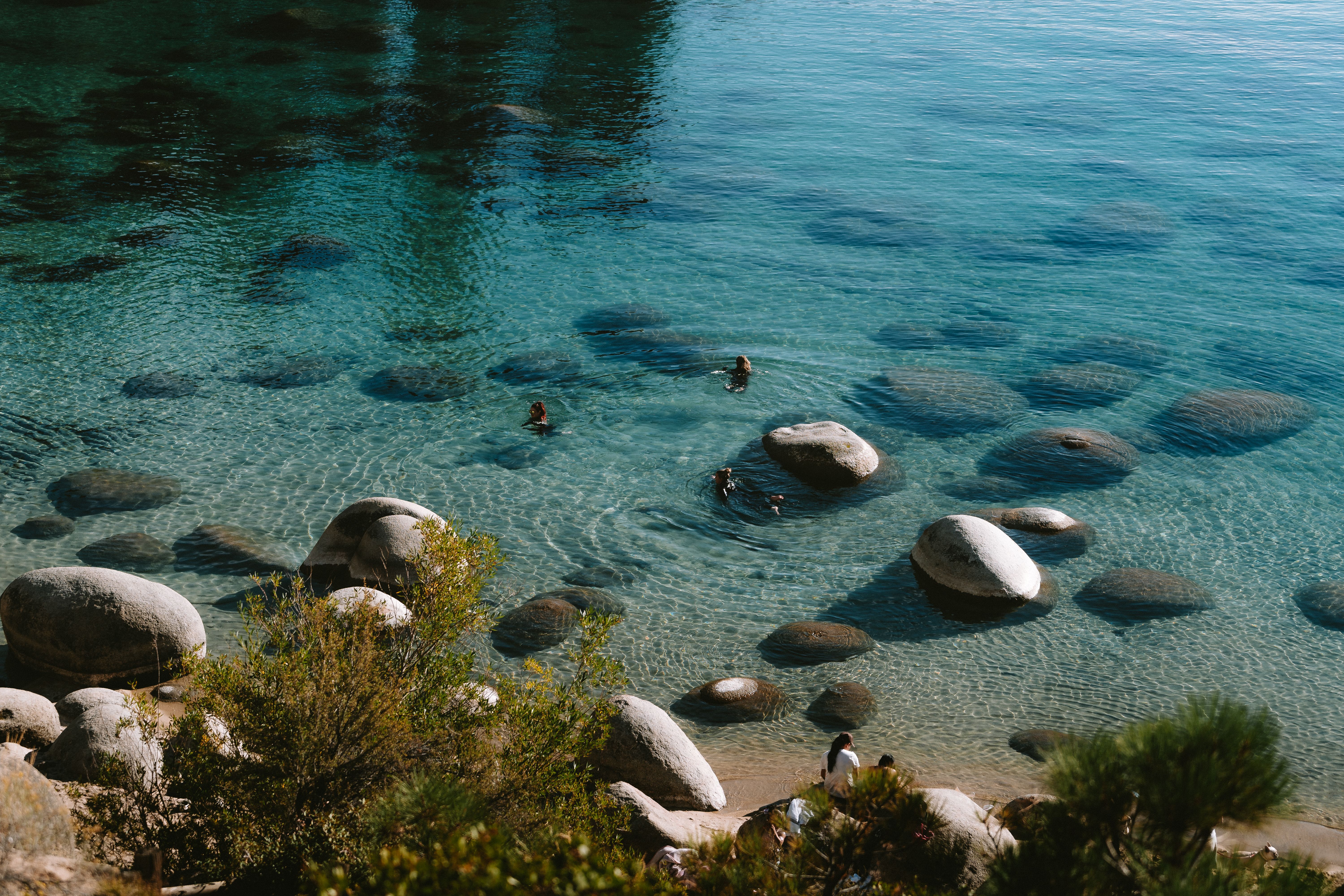 People Swimming on Sea Shore · Free Stock Photo