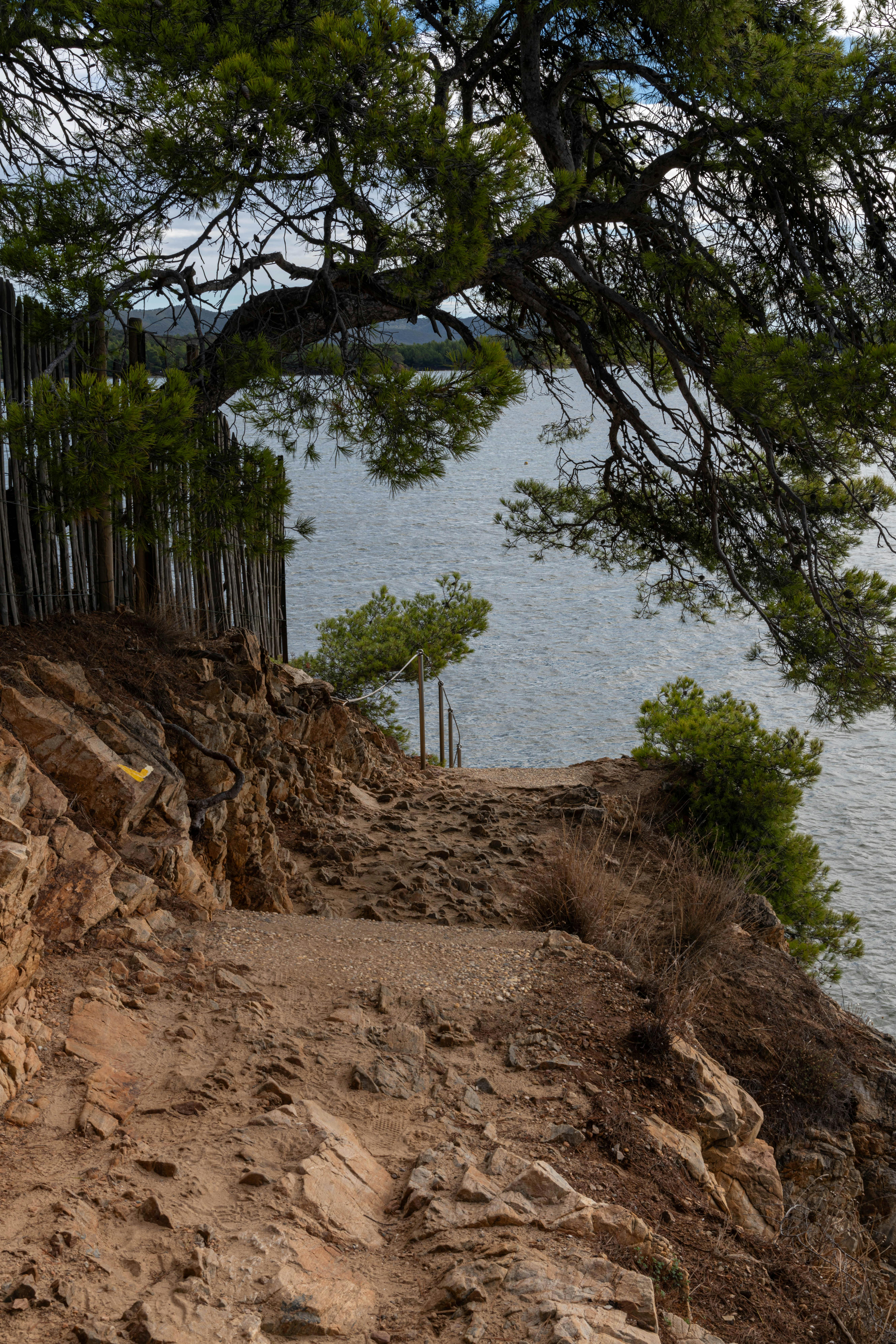 Bush Hog Tree Cutter Photos, Download The BEST Free Bush Hog Tree ...