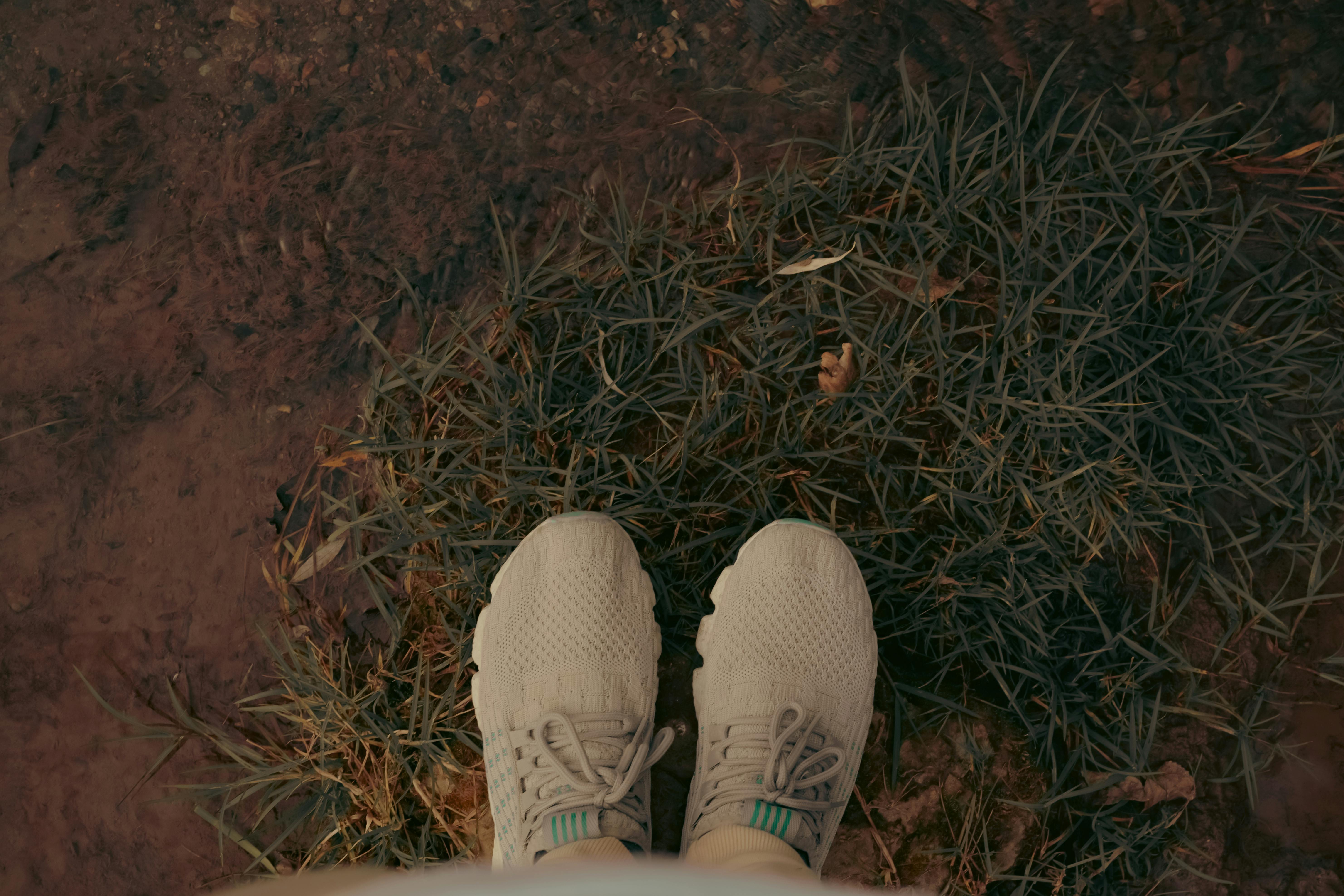 Foot Brakes Photos, Download The BEST Free Foot Brakes Stock Photos ...