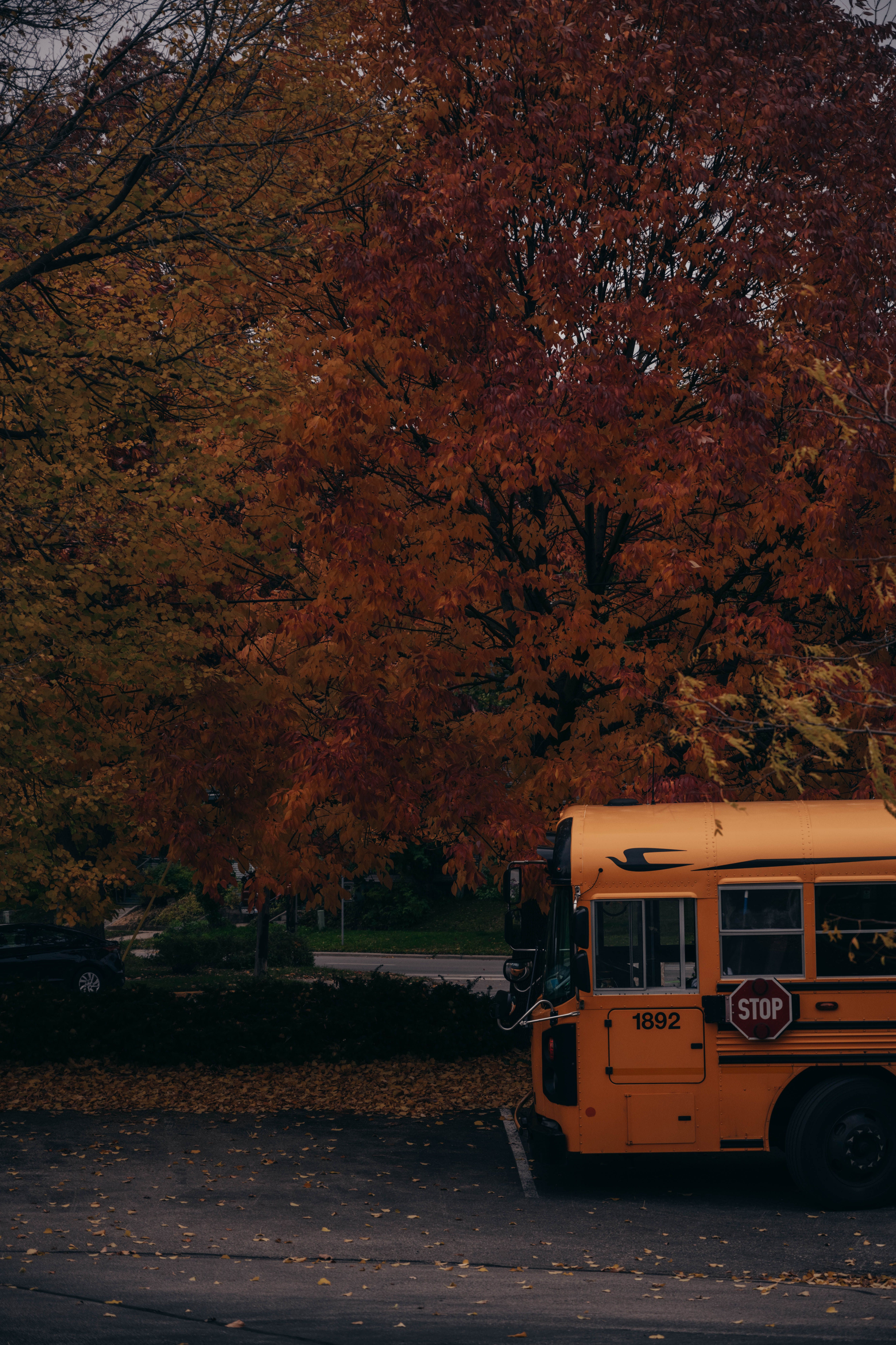 School Bus Stop Photos, Download The BEST Free School Bus Stop Stock ...
