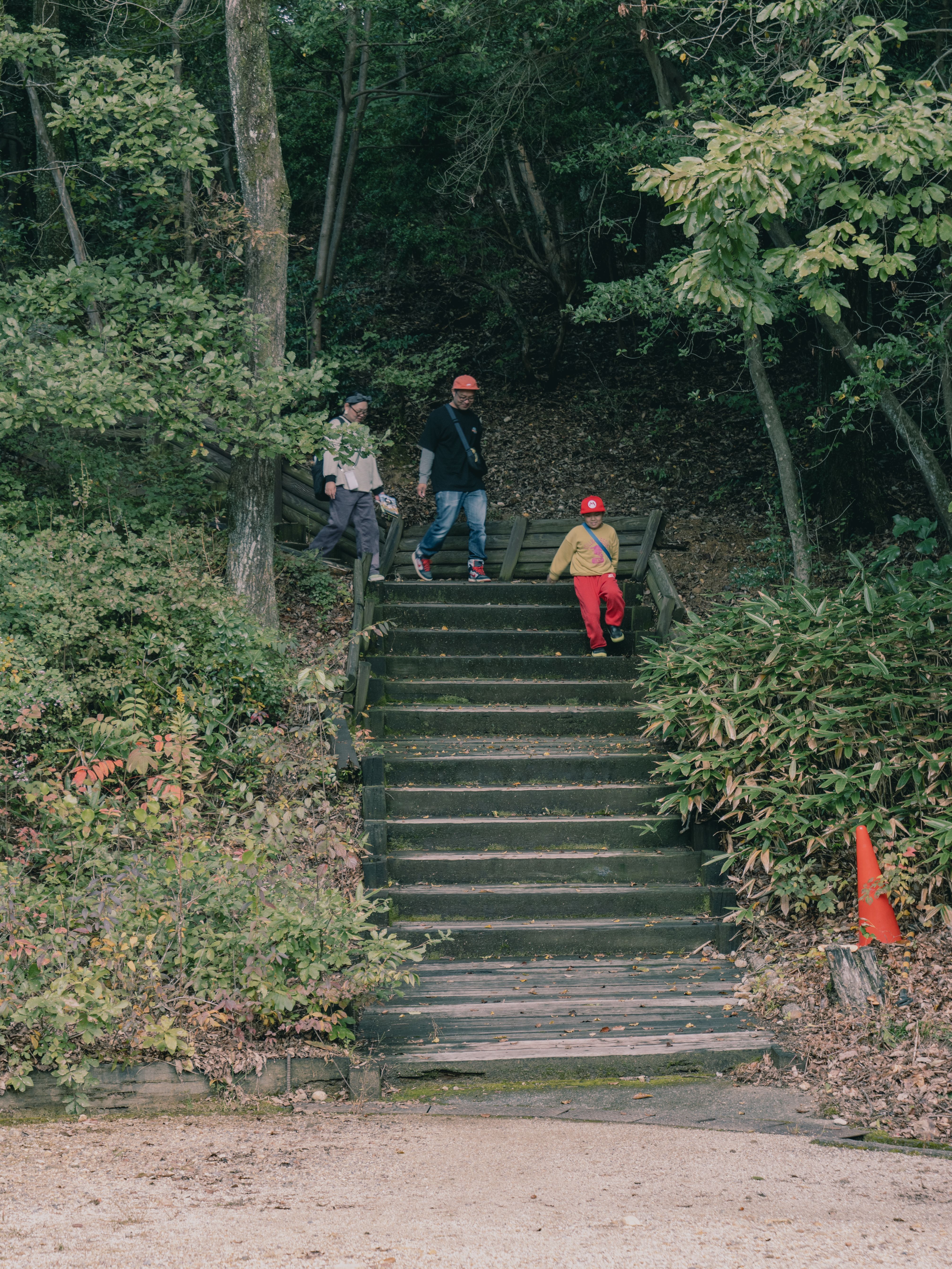 A family of three walking up a set of stairs · Free Stock Photo