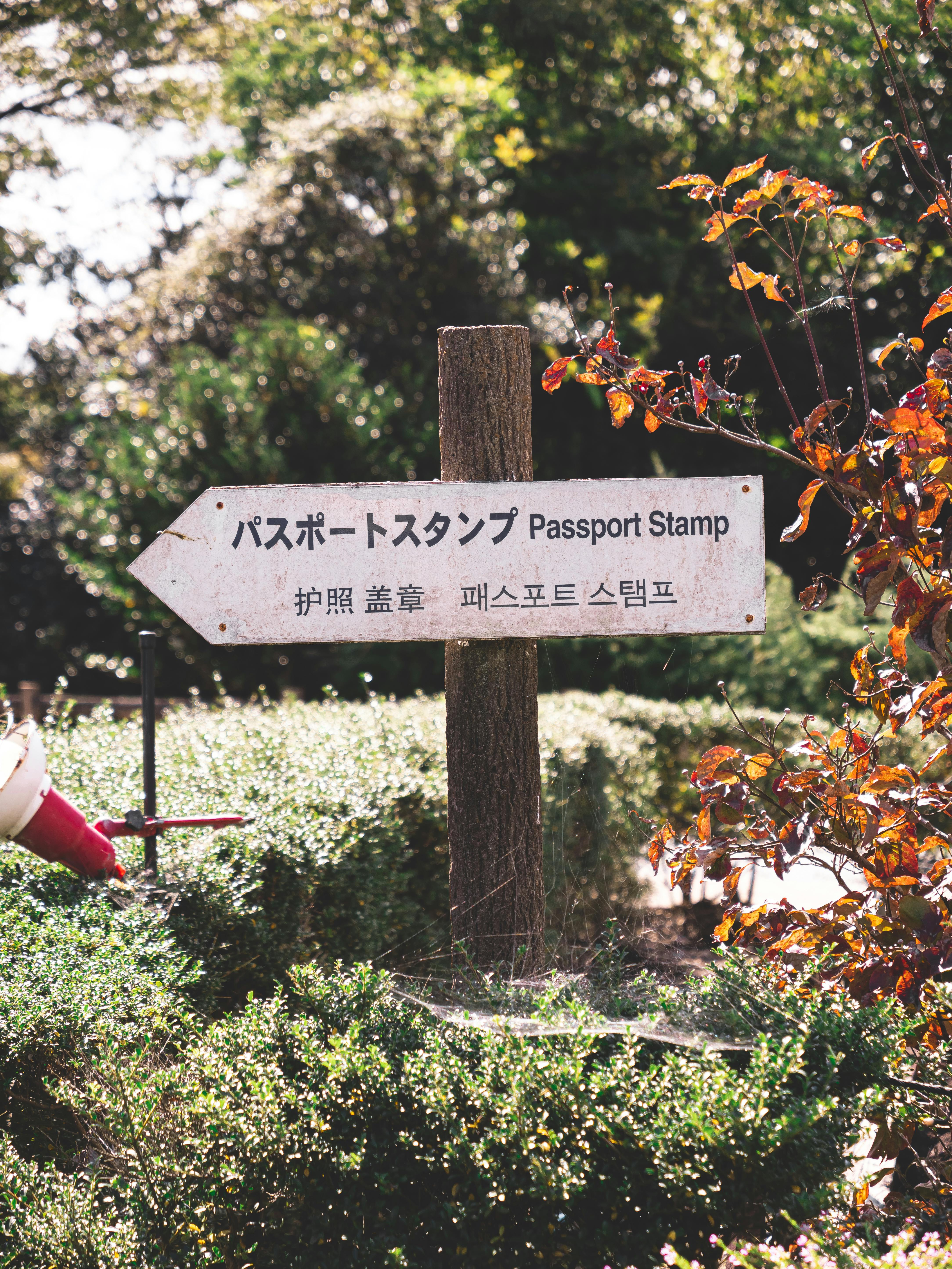 Directional Sign among Plants · Free Stock Photo