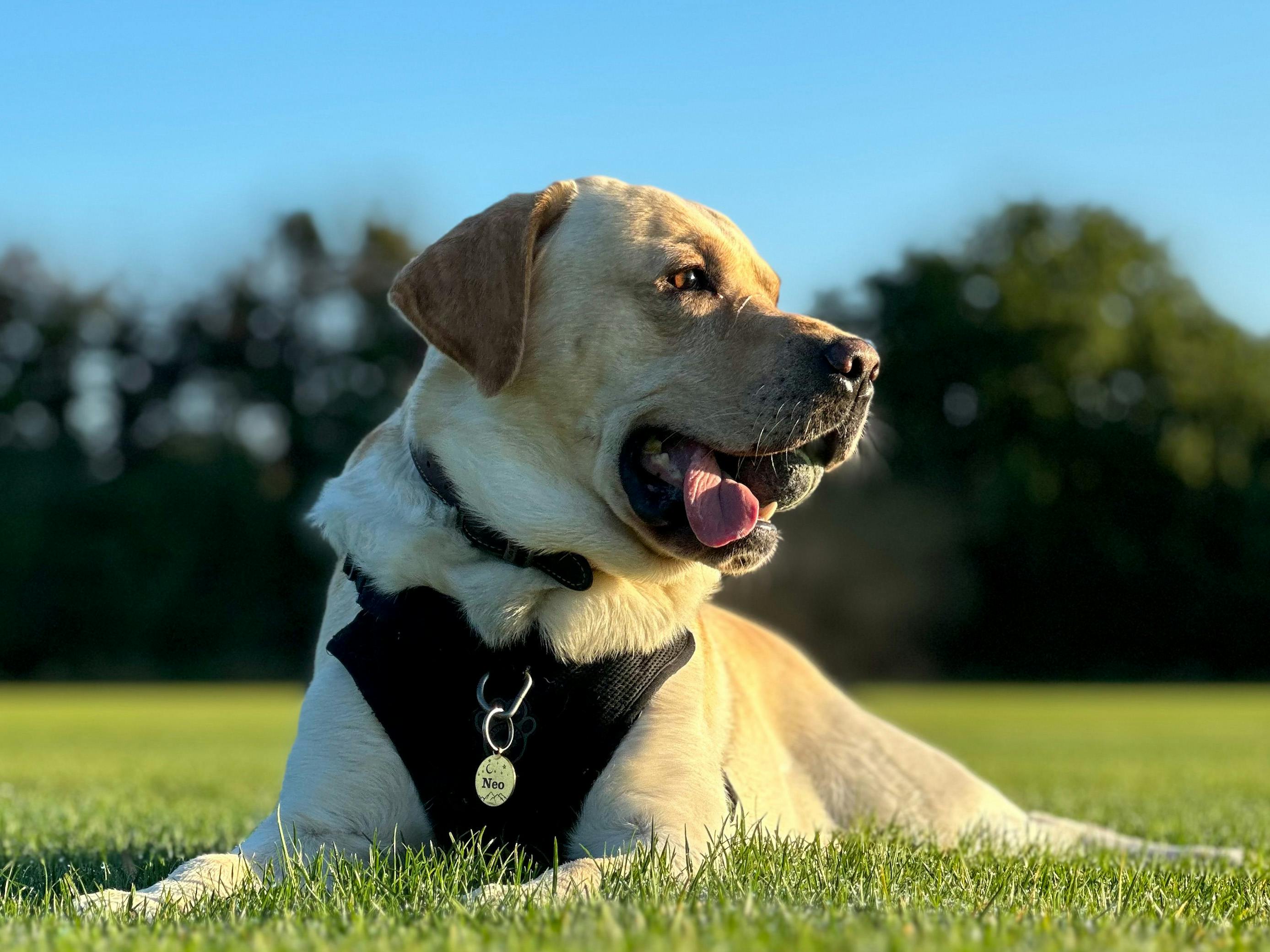 Boolean Retrieval Photos, Download The BEST Free Boolean Retrieval ...