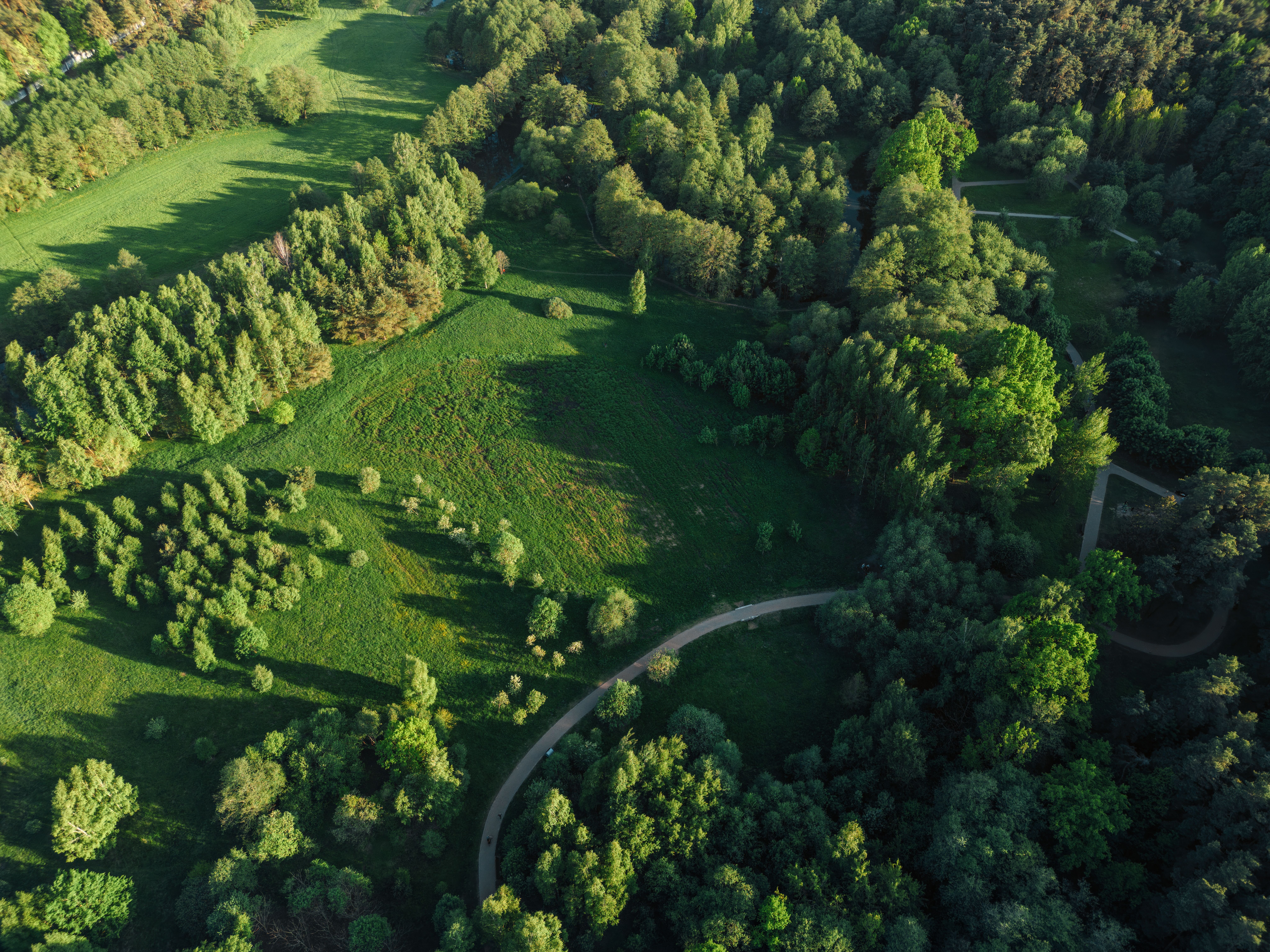 Aerial View of Green Trees and Meadows · Free Stock Photo