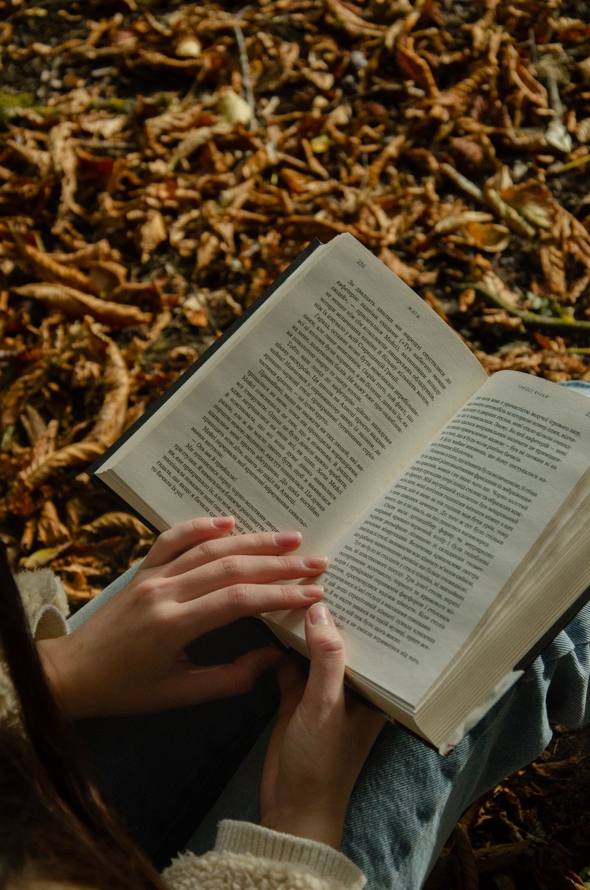 Reading In Nature Photos, Download The BEST Free Reading In Nature ...