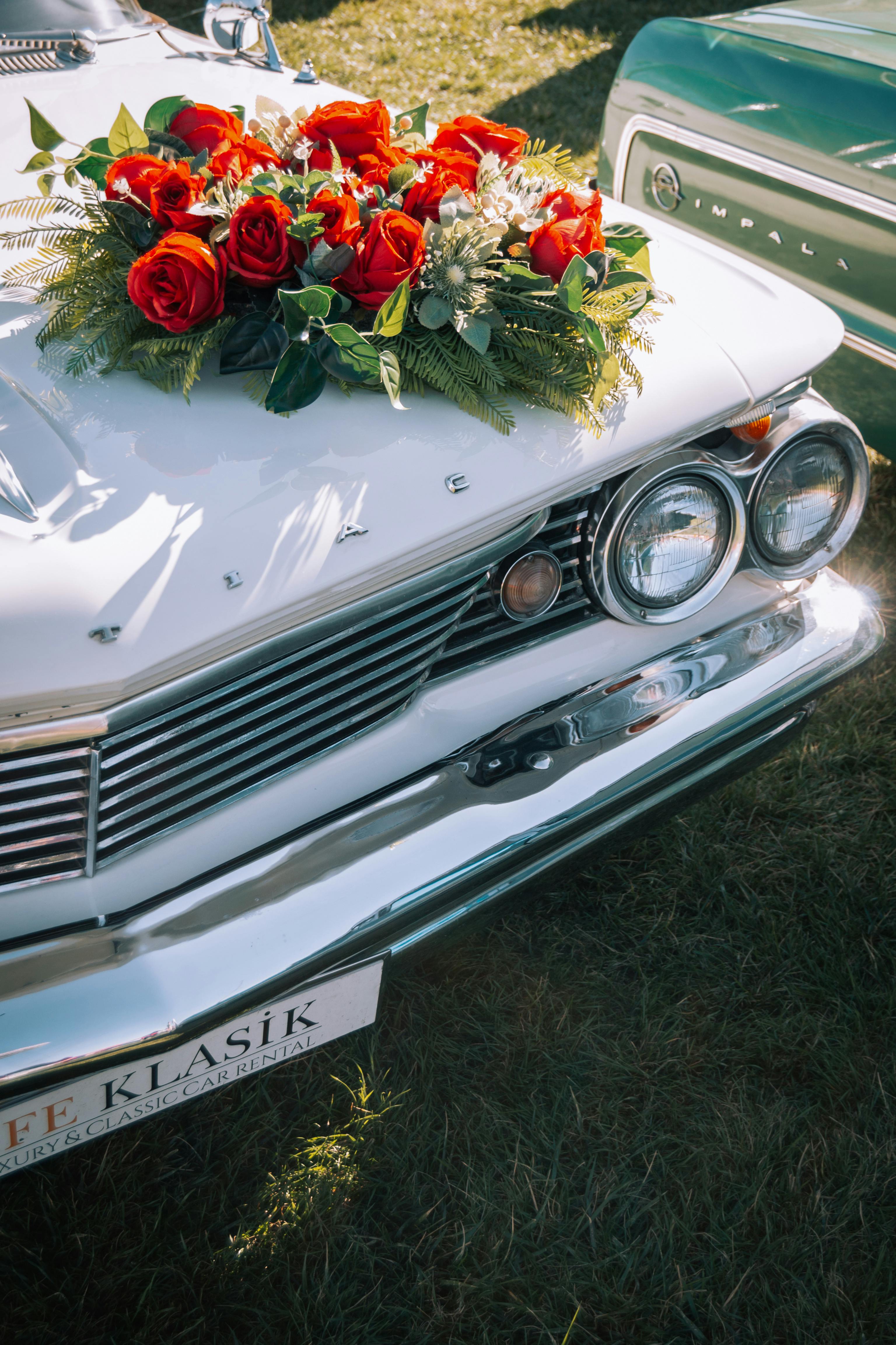 Internal Transportation Photos, Download The BEST Free Internal ...