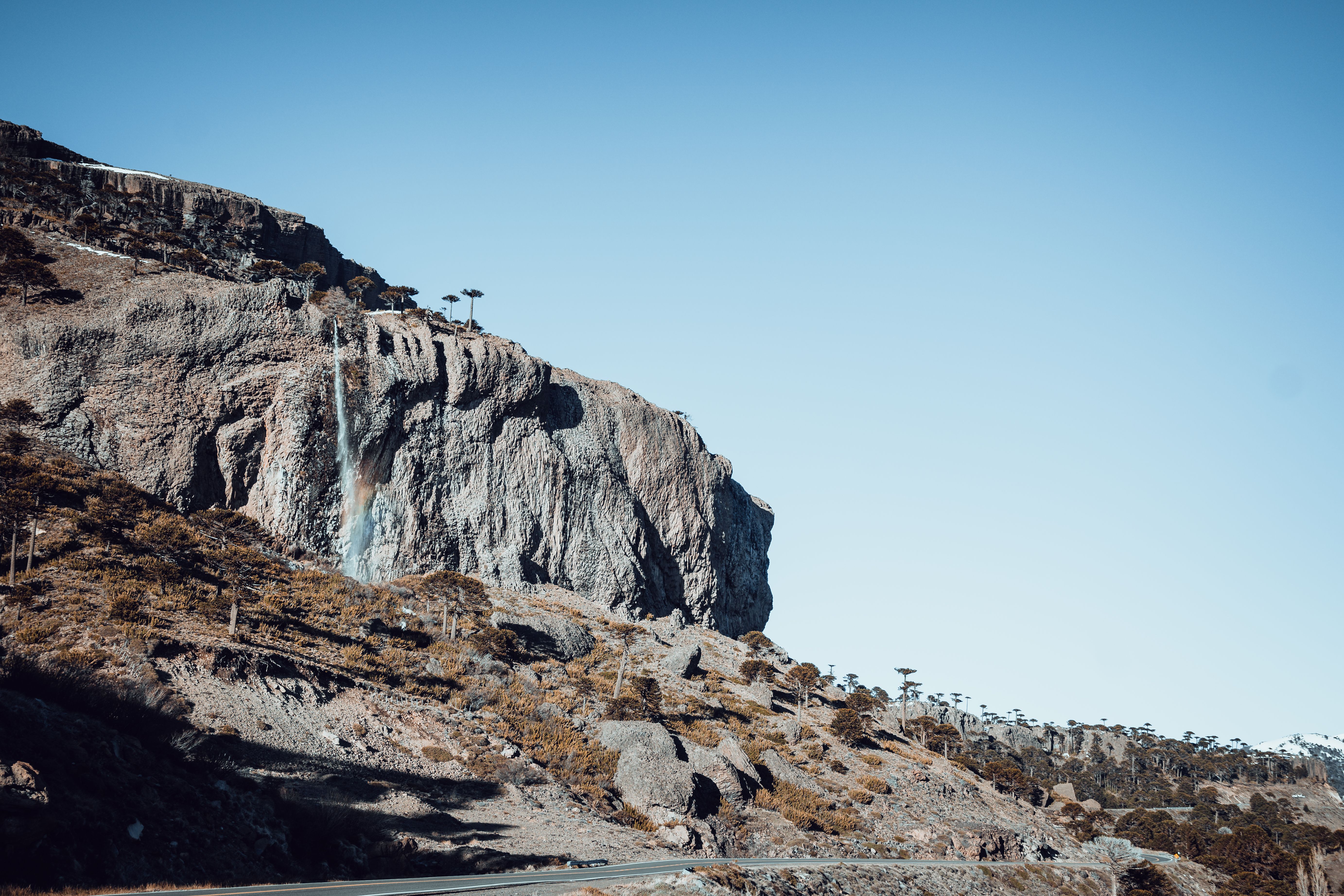 Hint Of Vegetation Photos, Download The BEST Free Hint Of Vegetation ...