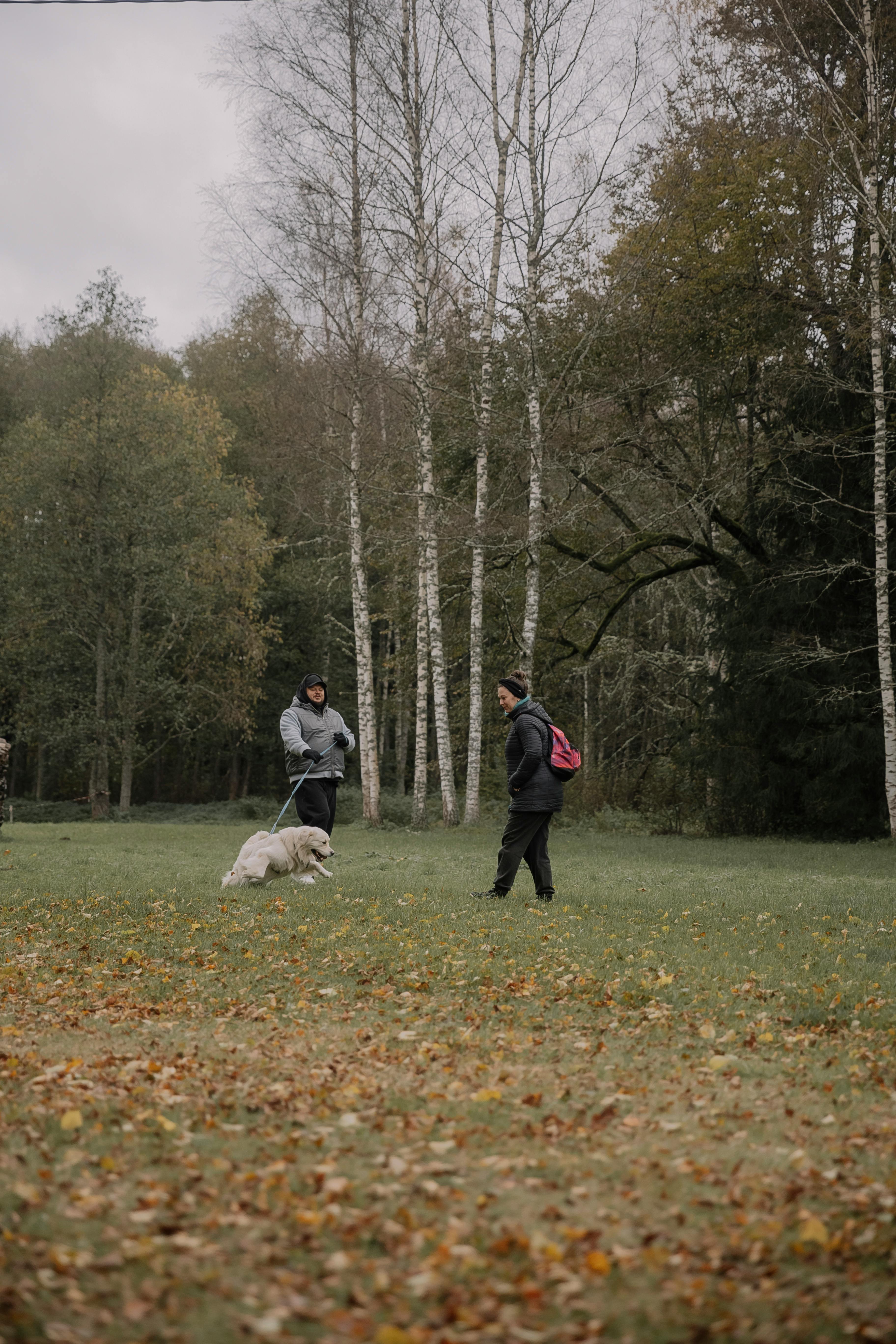 Man And Dog Photos, Download The BEST Free Man And Dog Stock Photos ...