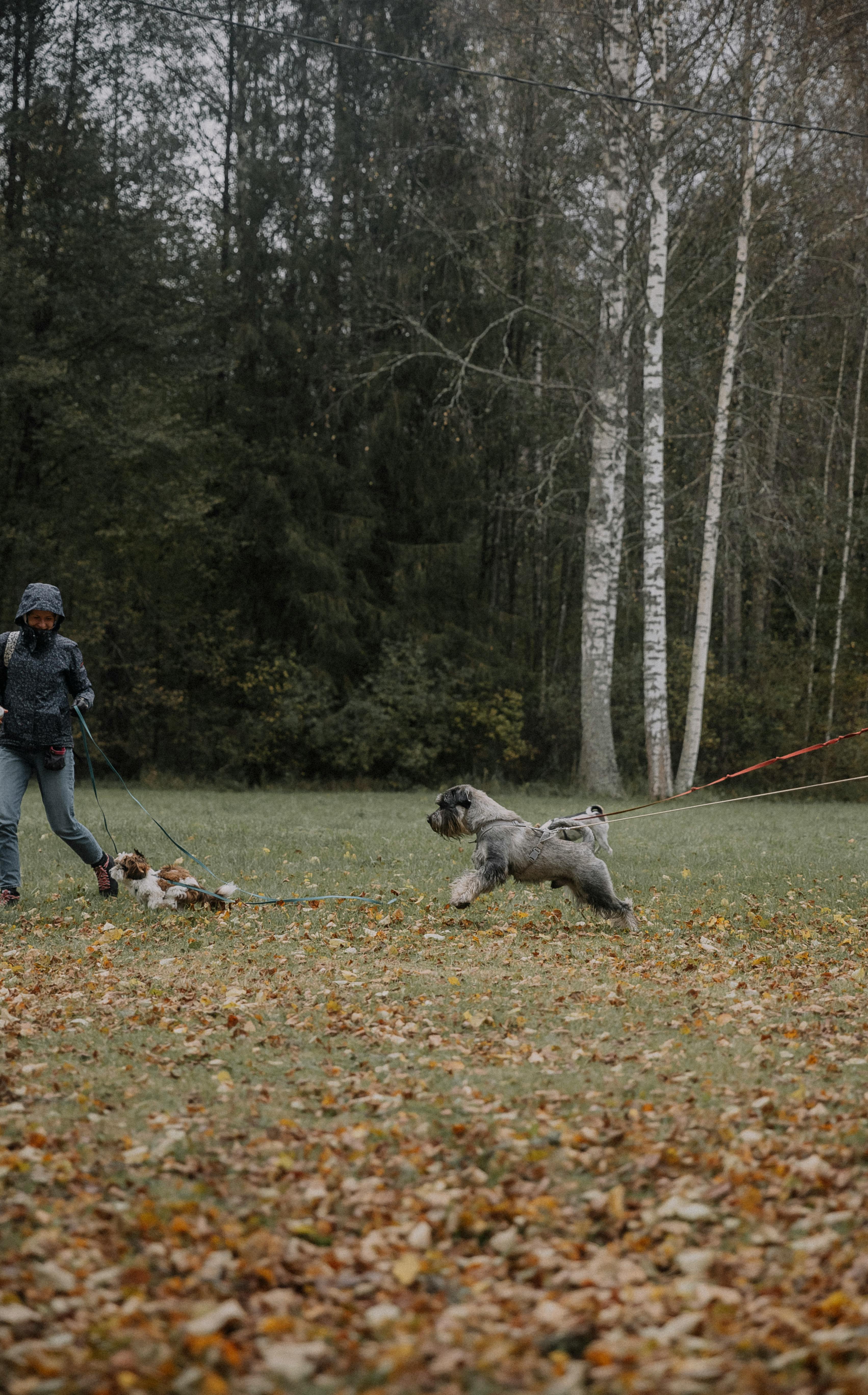 Unusual Animals Photos, Download The BEST Free Unusual Animals Stock ...