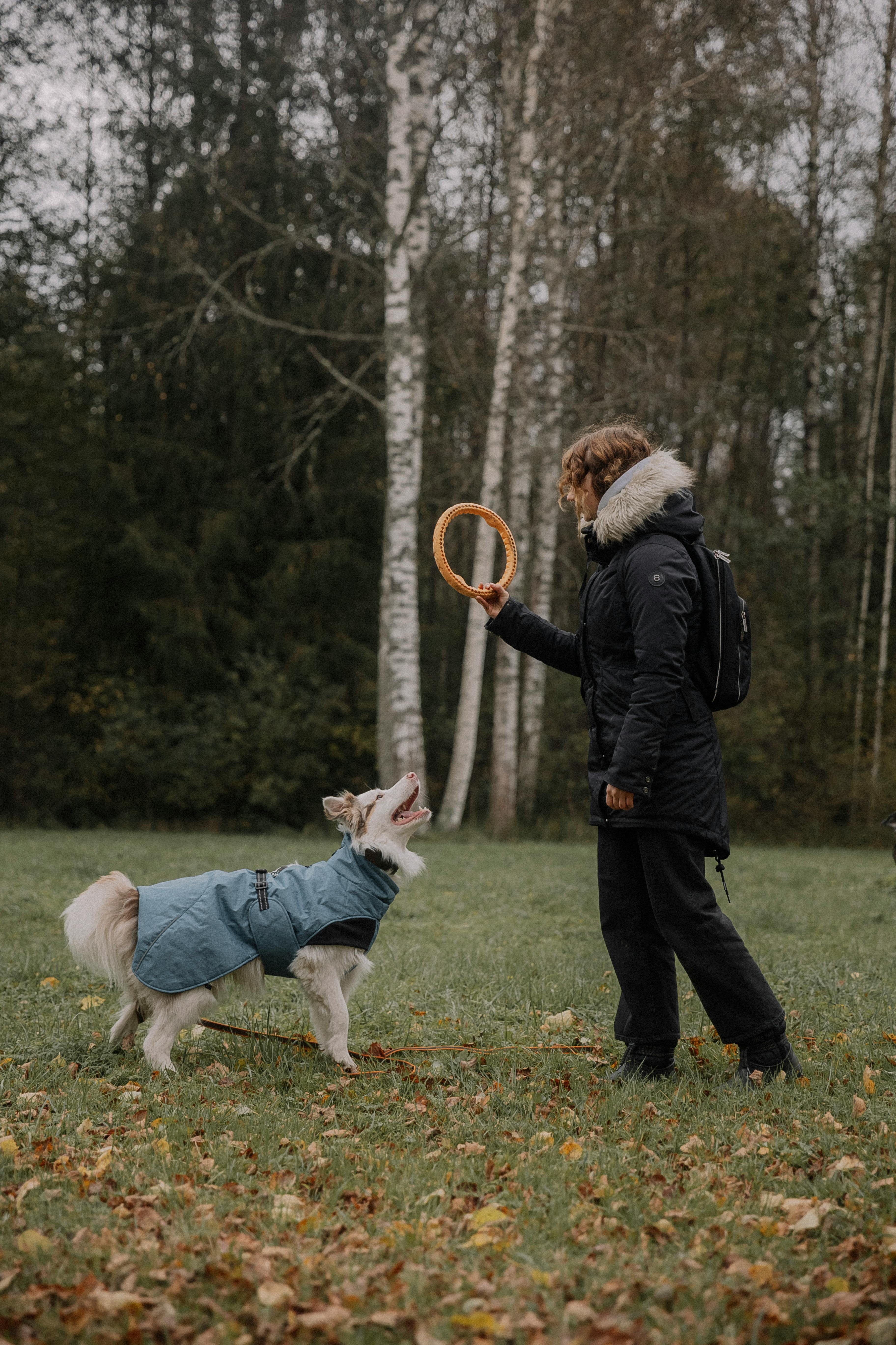 Alligator Playing Photos, Download The BEST Free Alligator Playing ...