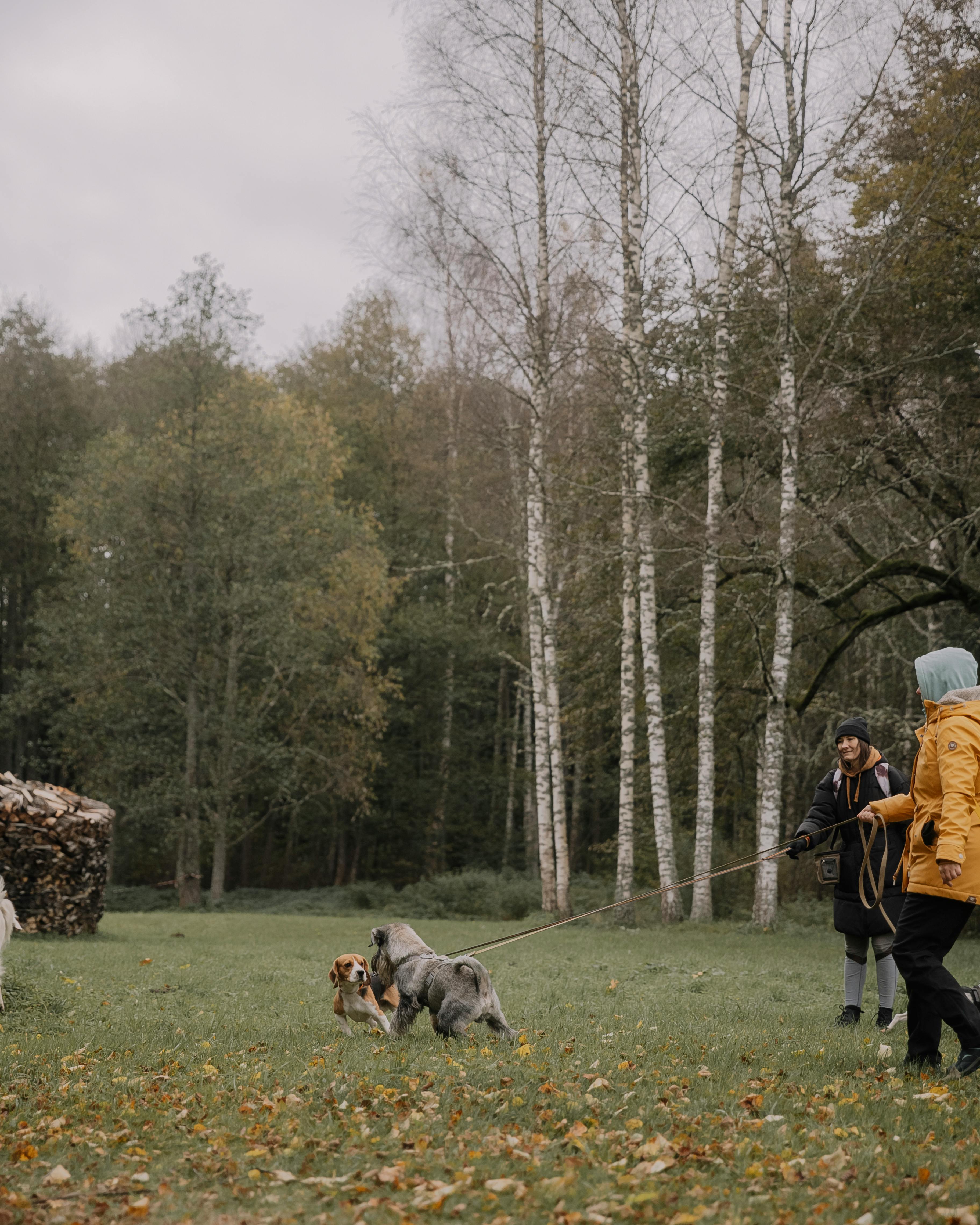 To Be Cold Photos, Download The BEST Free To Be Cold Stock Photos & HD ...