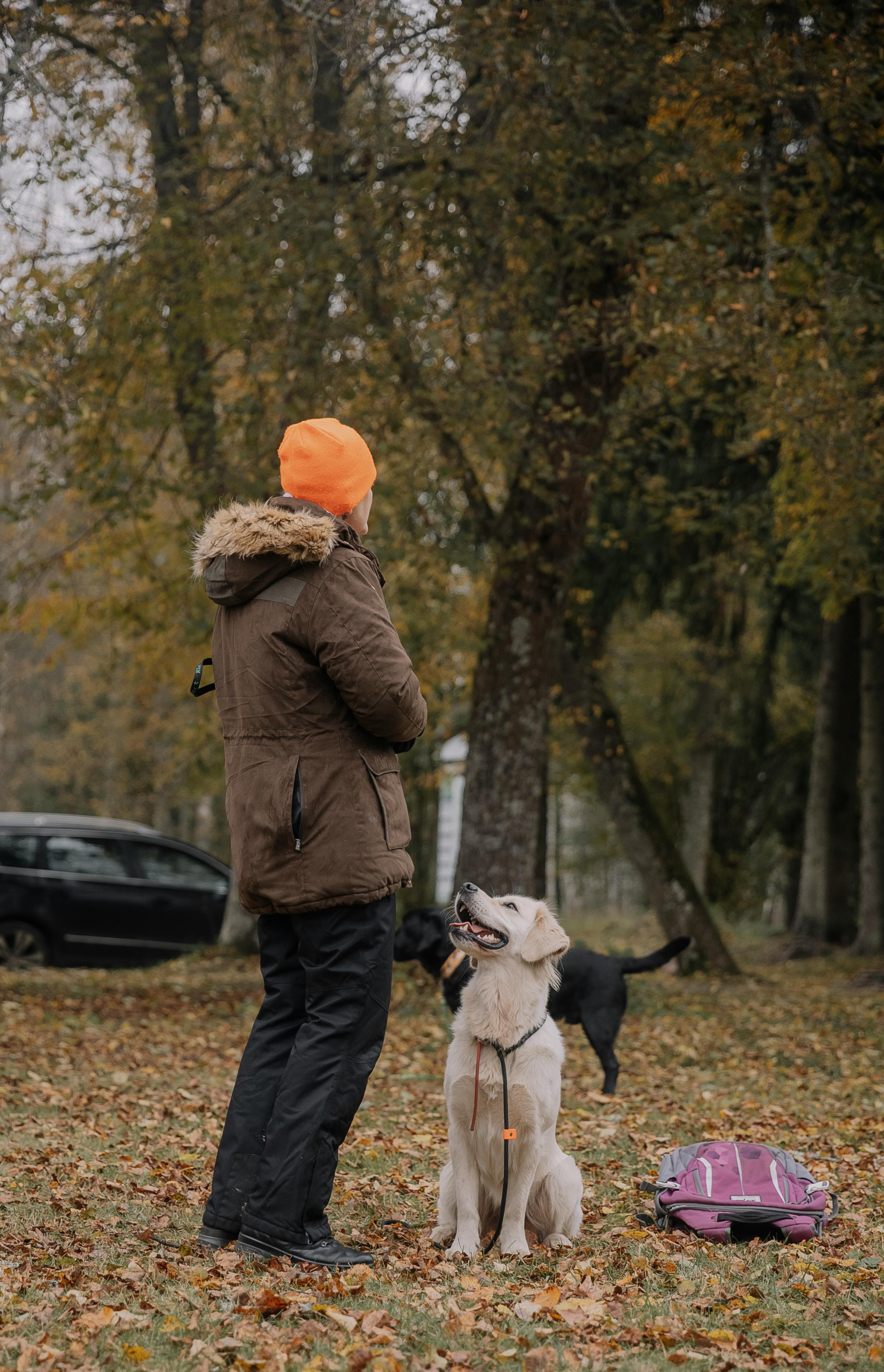 Wood Picker Photos, Download The BEST Free Wood Picker Stock Photos ...