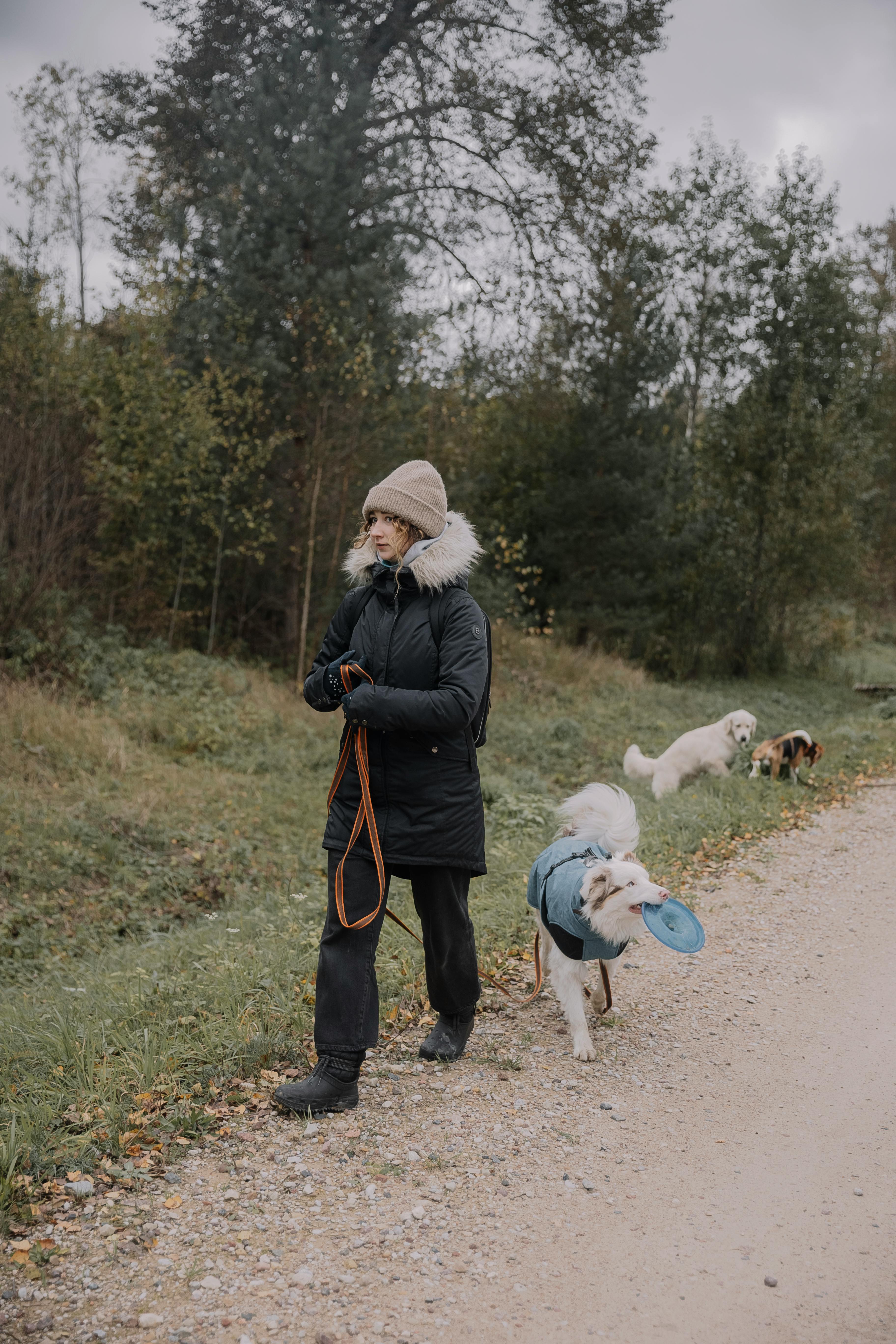 Woman Walking with Dogs in the Forest · Free Stock Photo