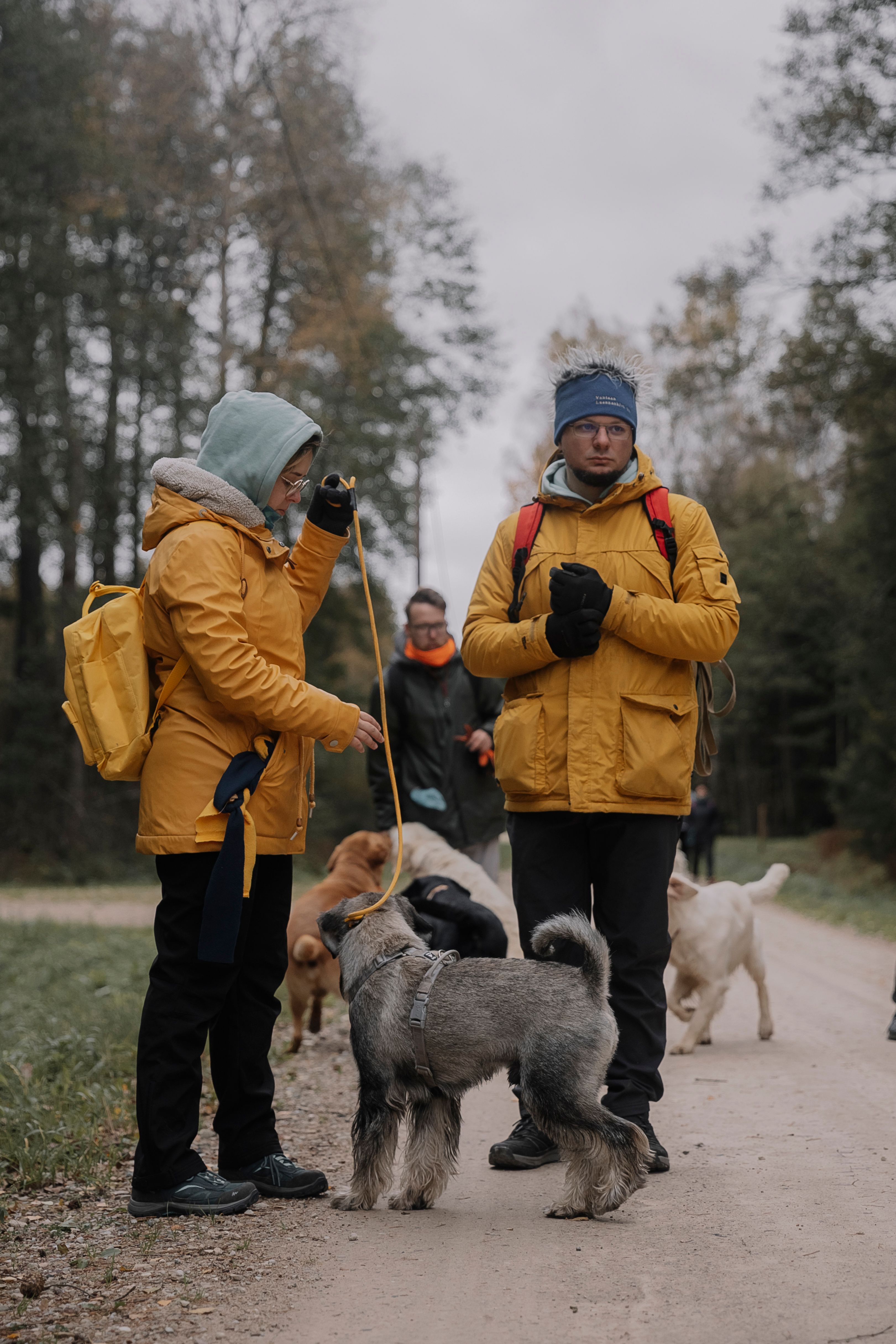 Man Carrying Dog on Red Backpack · Free Stock Photo