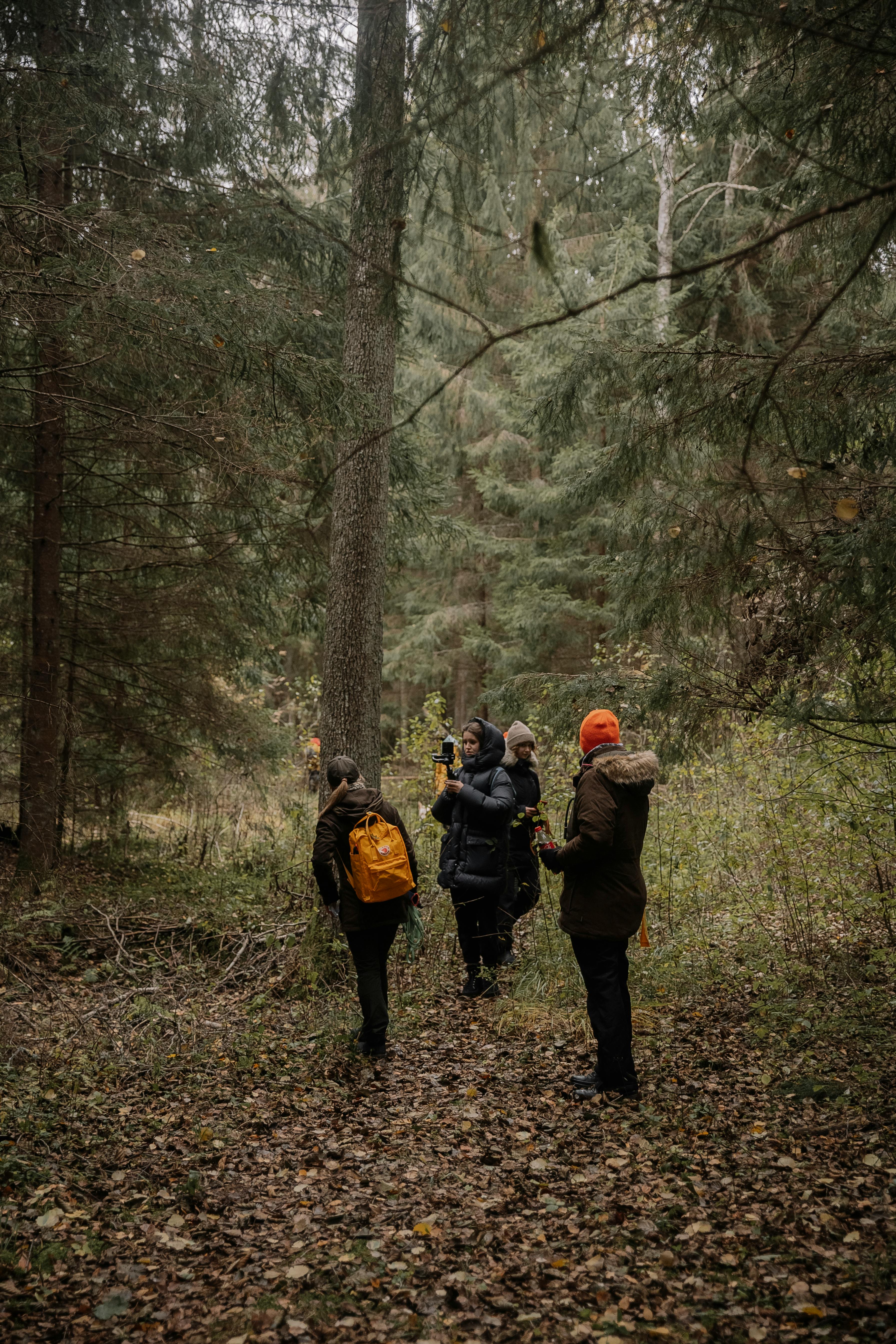 Woman in Red Coat Surrounded by Trees · Free Stock Photo