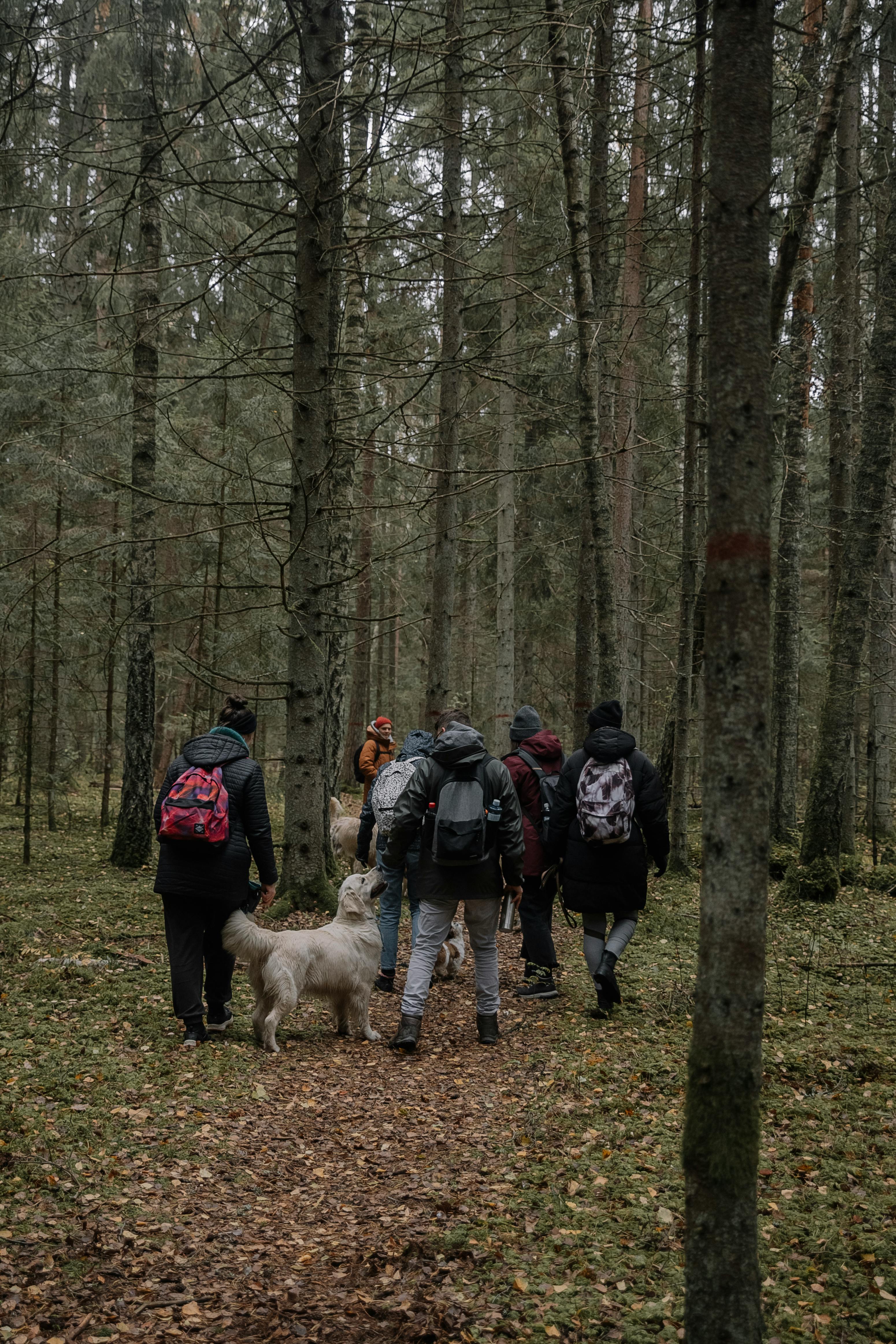 People in a Forest · Free Stock Photo
