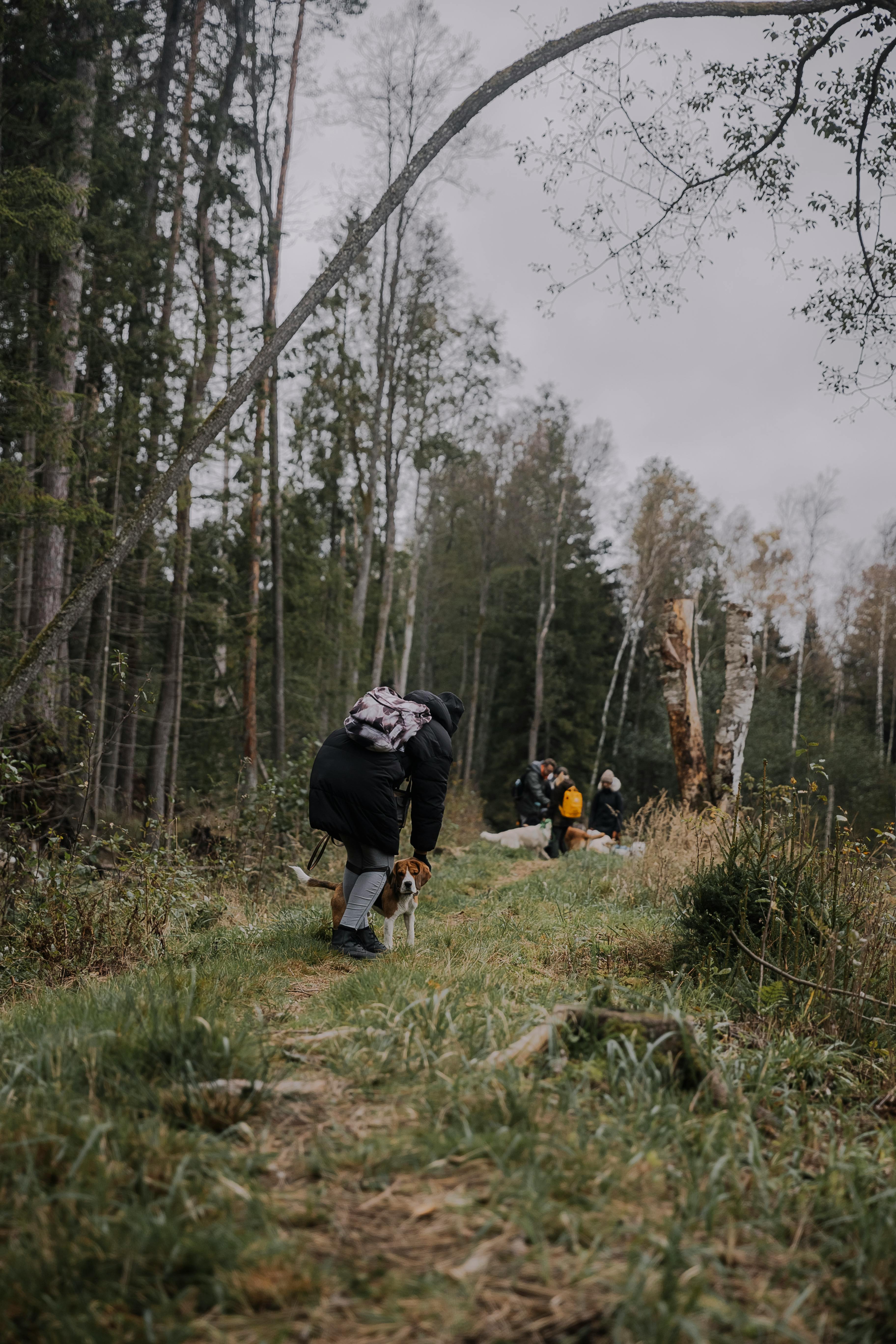 Novature Photos, Download The BEST Free Novature Stock Photos & HD Images