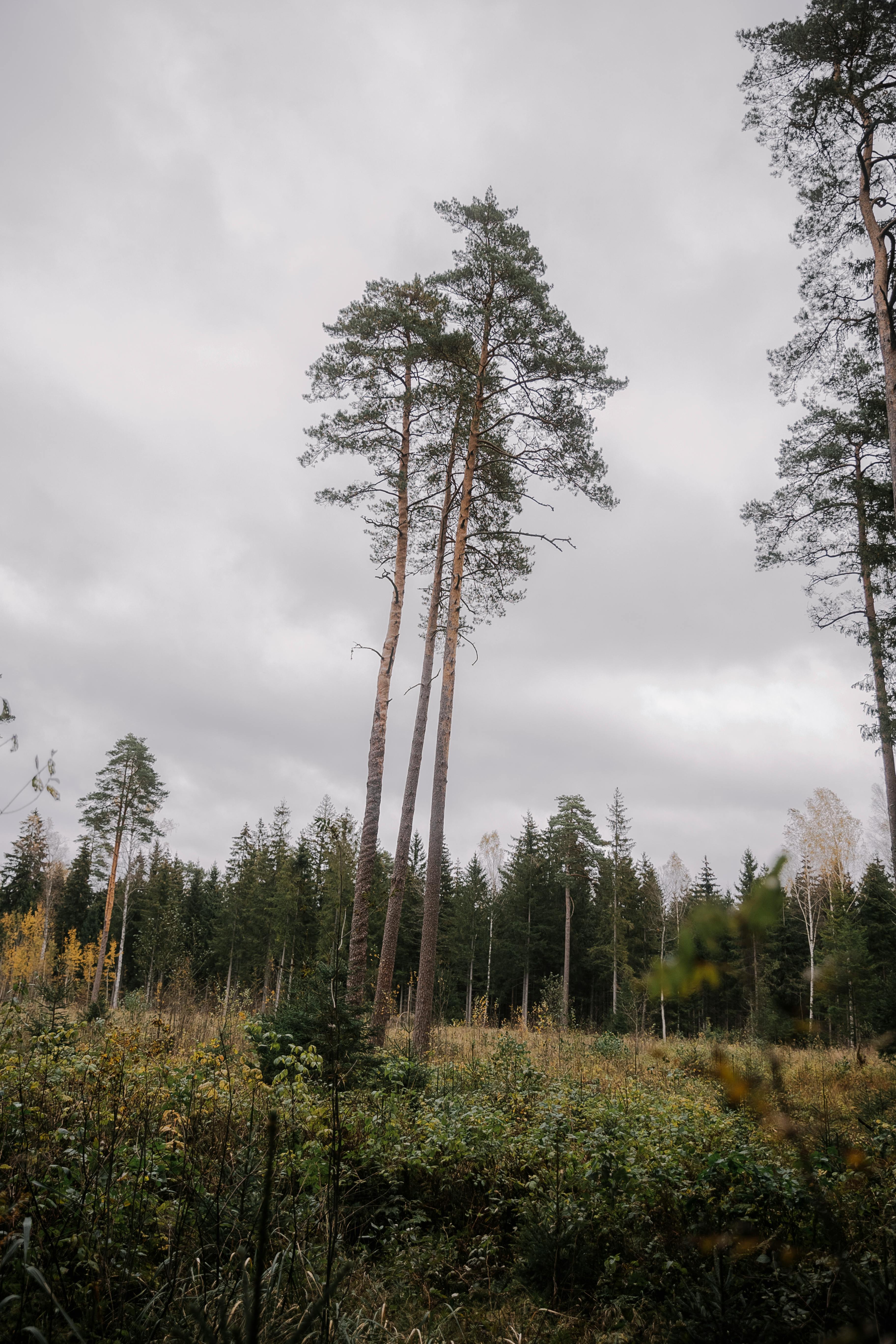 John Deep Photos, Download The BEST Free John Deep Stock Photos & HD Images