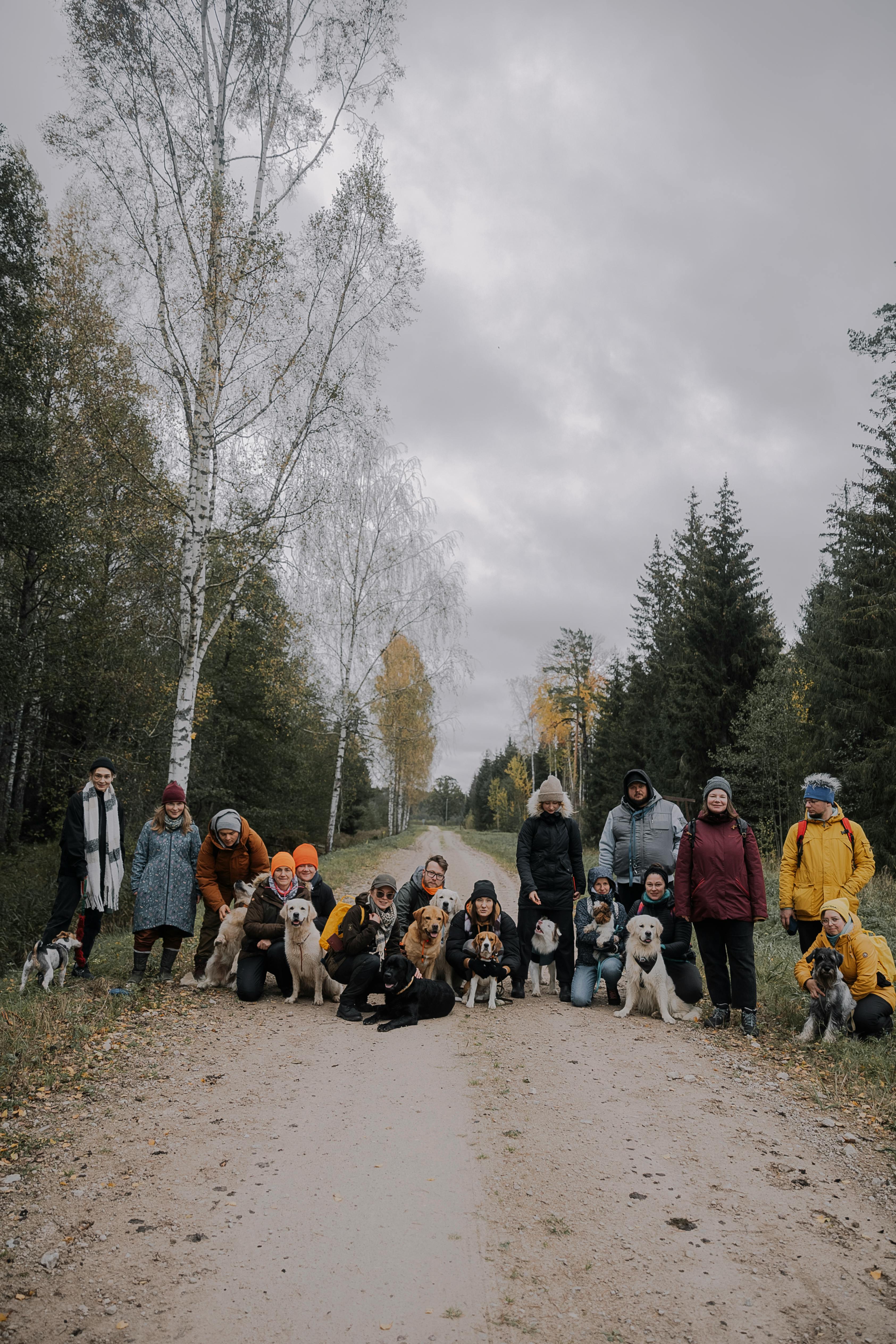 Labrador Retriever Group Photos, Download The BEST Free Labrador ...