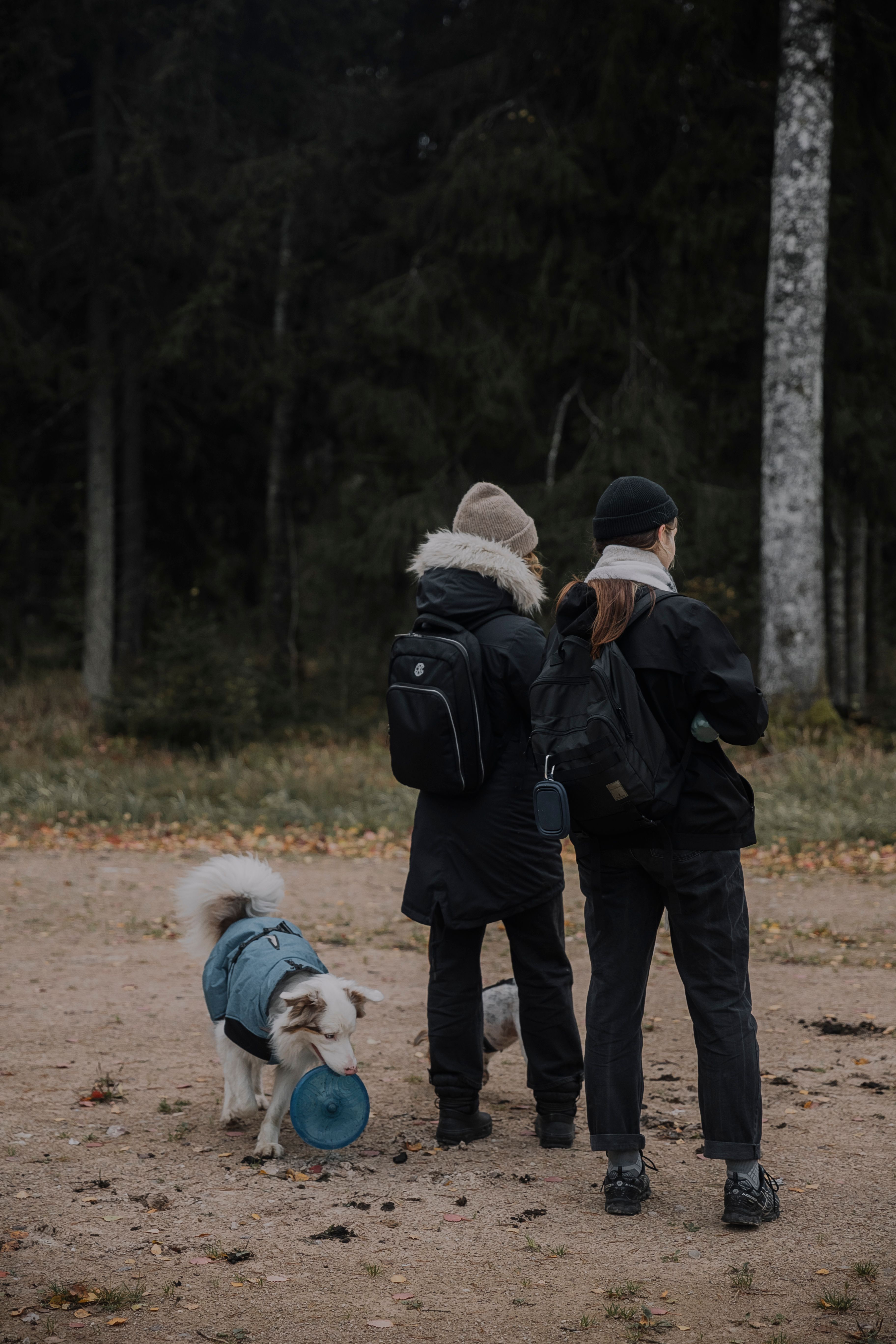 Man and Woman Walking on Forest With Their Dog · Free Stock Photo