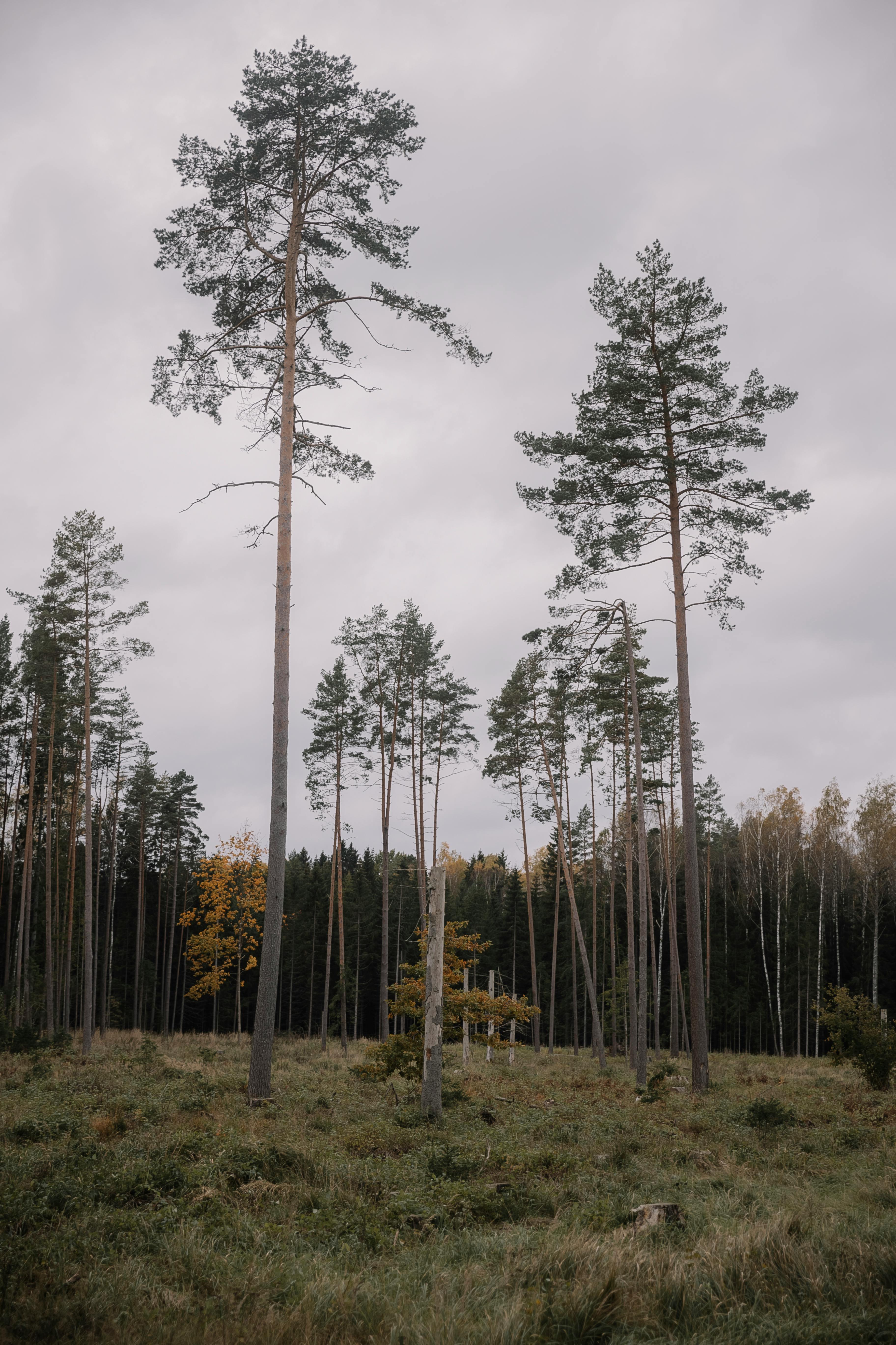 Flat Scenery Photos, Download The BEST Free Flat Scenery Stock Photos ...