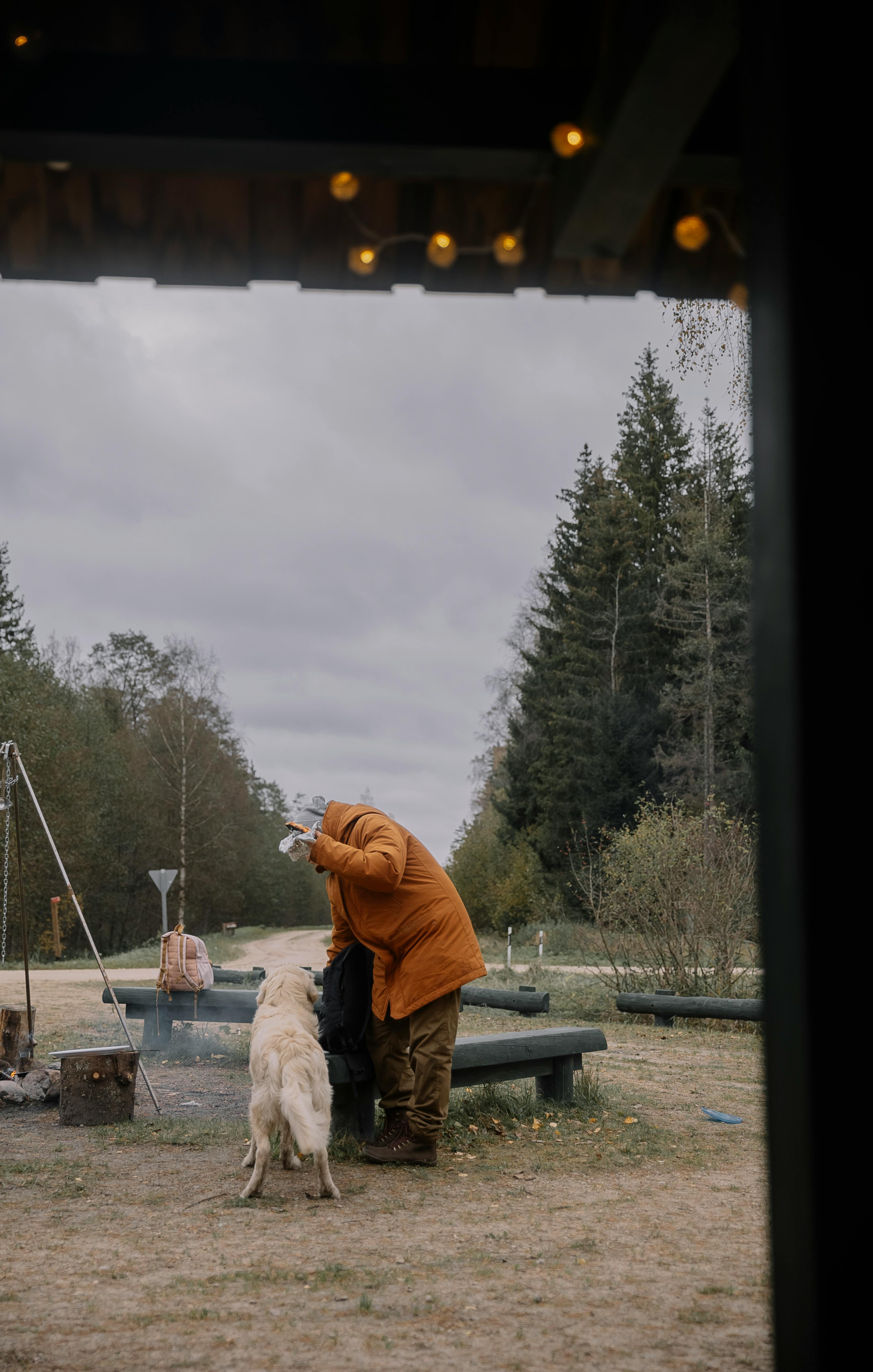 Small Dog and a Boy Pulling a Sledge in a Snowy Weather · Free Stock Photo