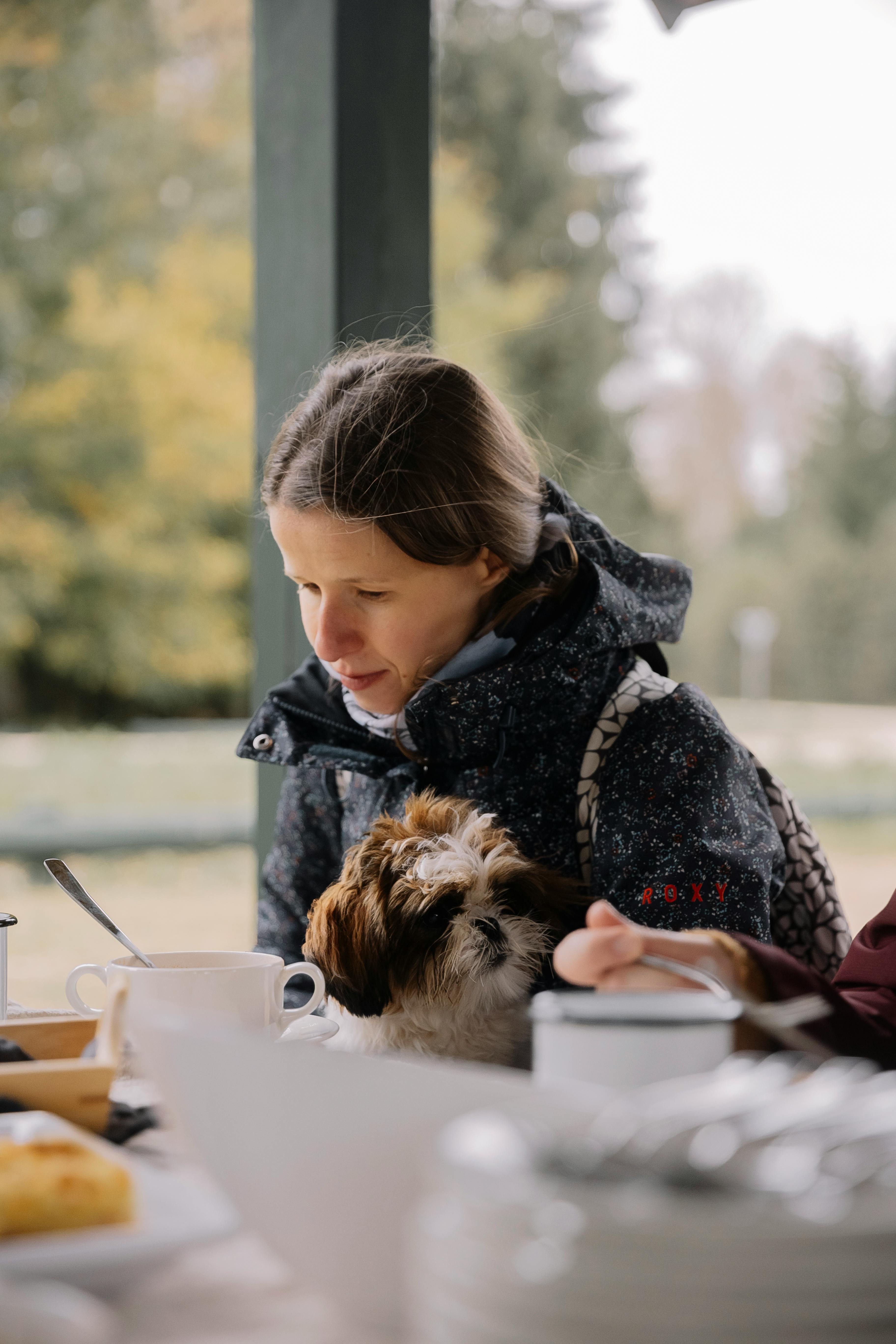 Cute dog sitting under the table · Free Stock Photo