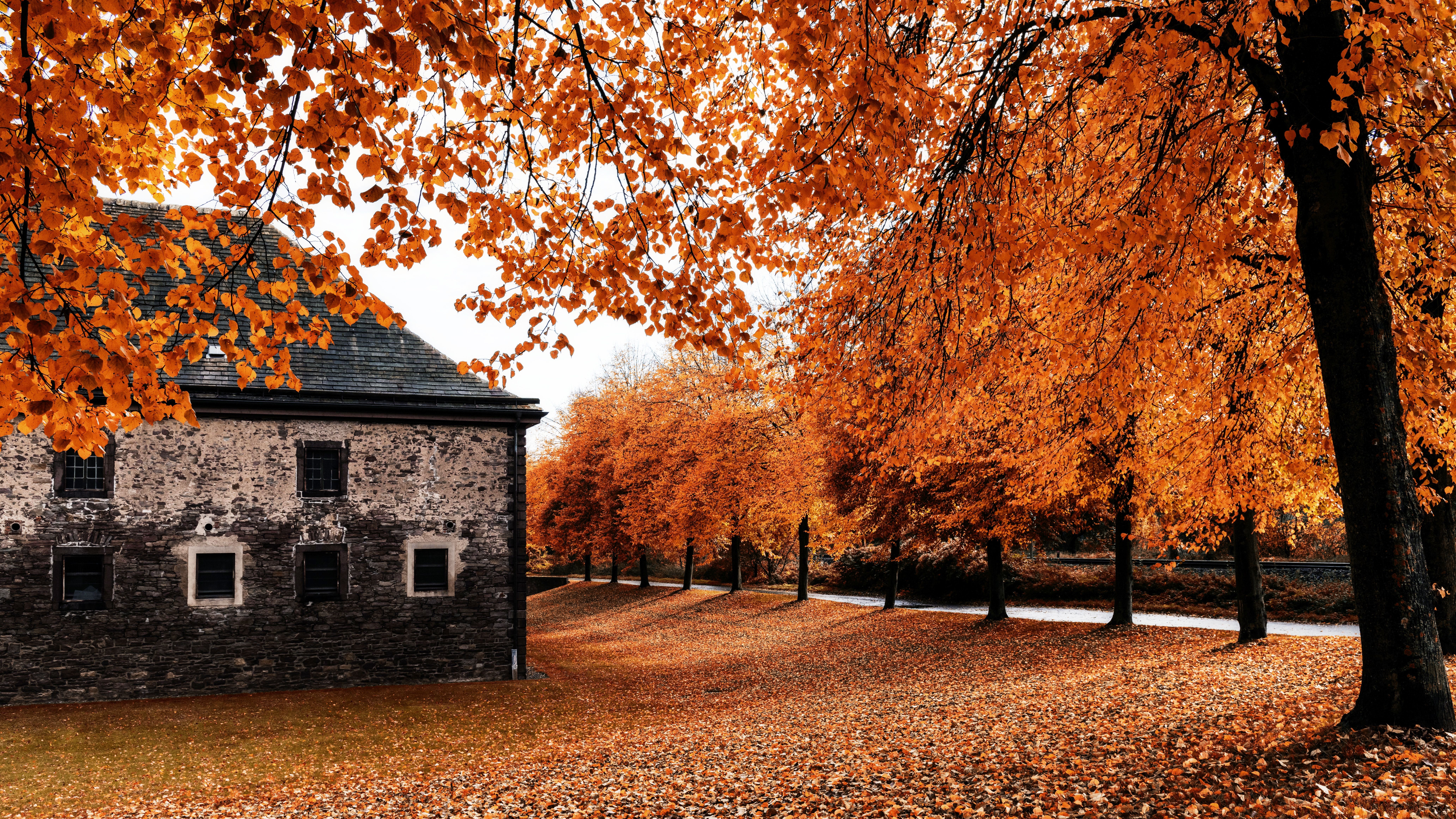 Historic Stone Building Among Autumn Trees · Free Stock Photo