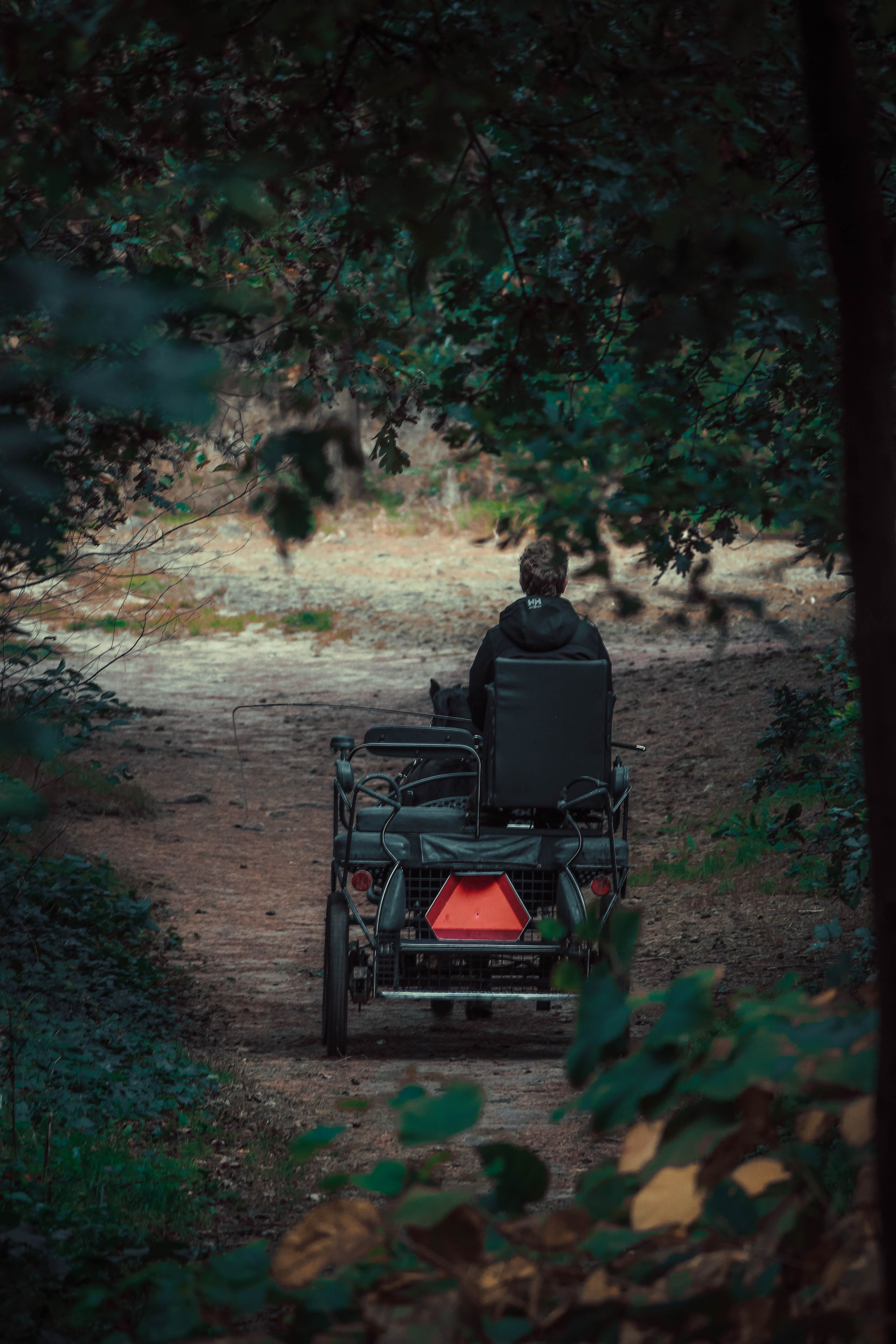 Back View of a Person Driving a Cart · Free Stock Photo