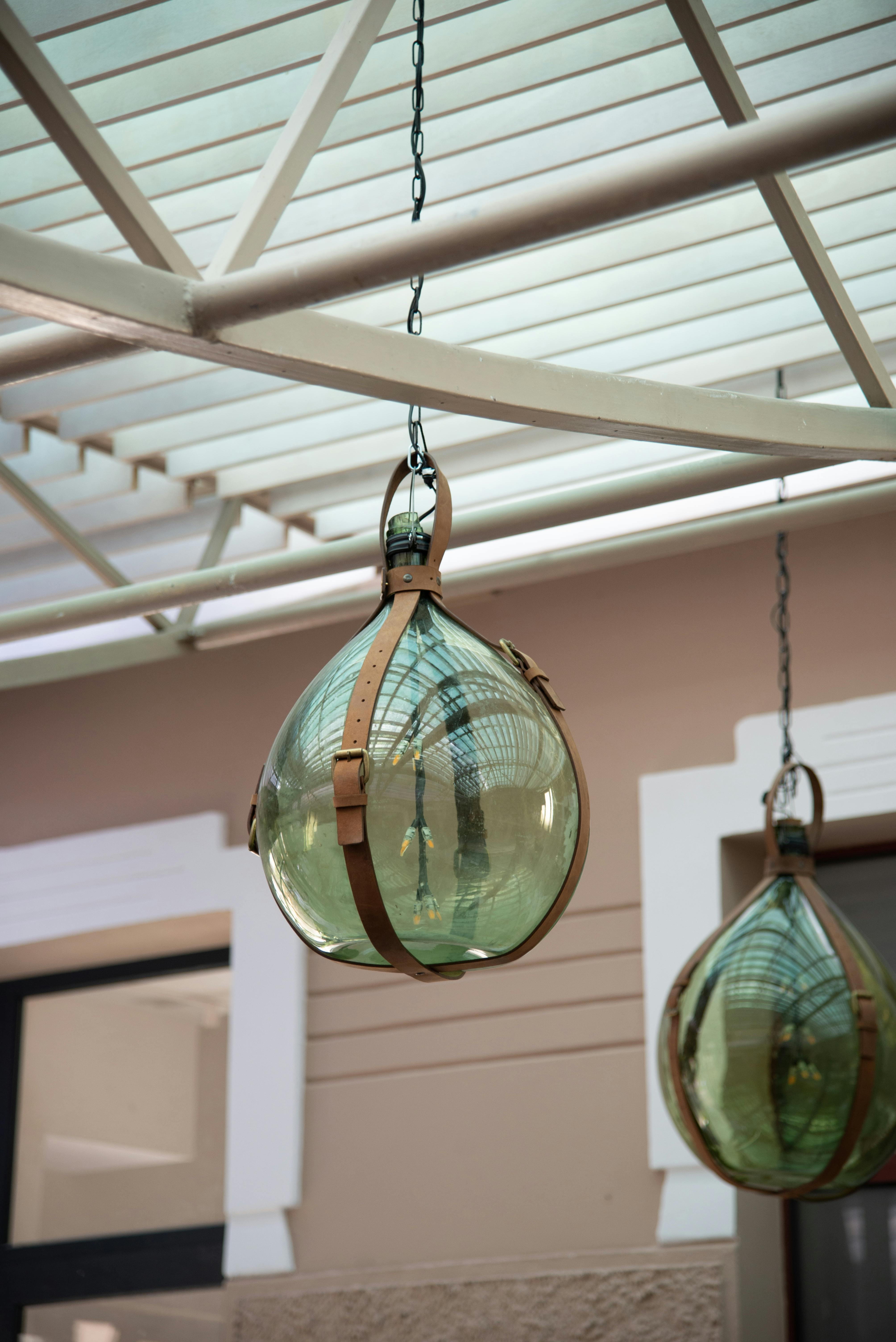 Carboys Photos, Download The BEST Free Carboys Stock Photos & HD Images