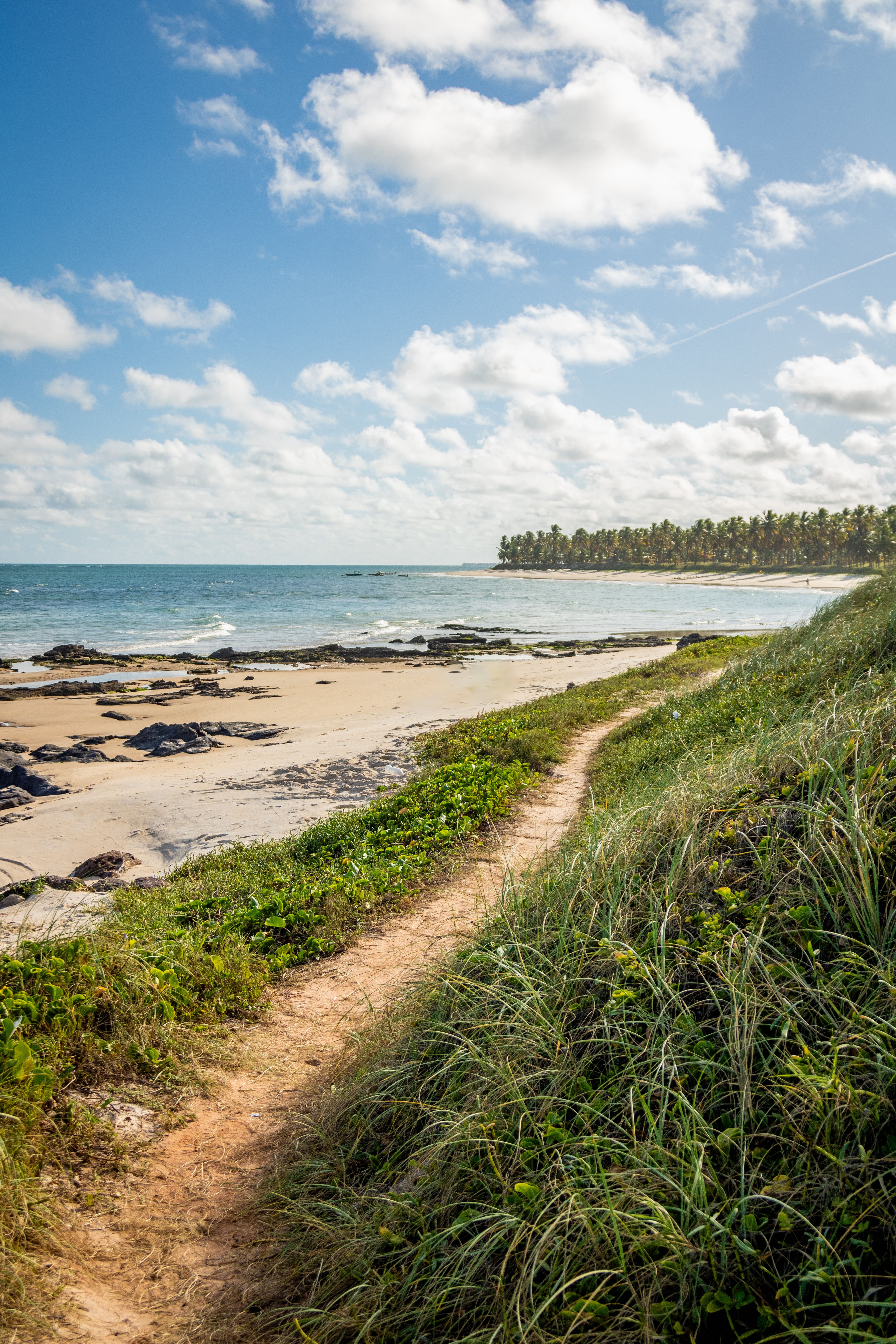 Footpath Along Beach on Seashore · Free Stock Photo